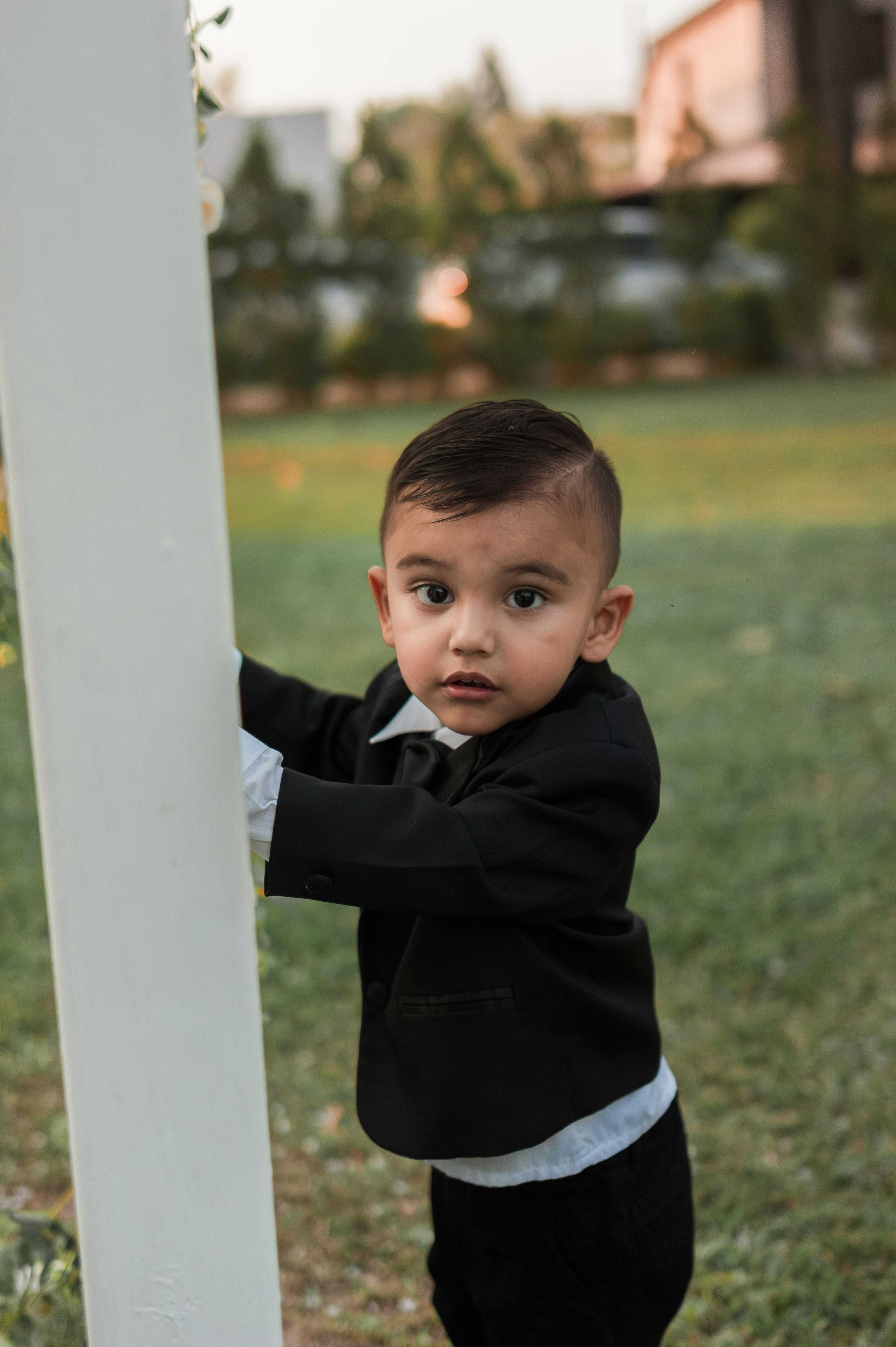 Tiny Gentleman in a Velvet Moment