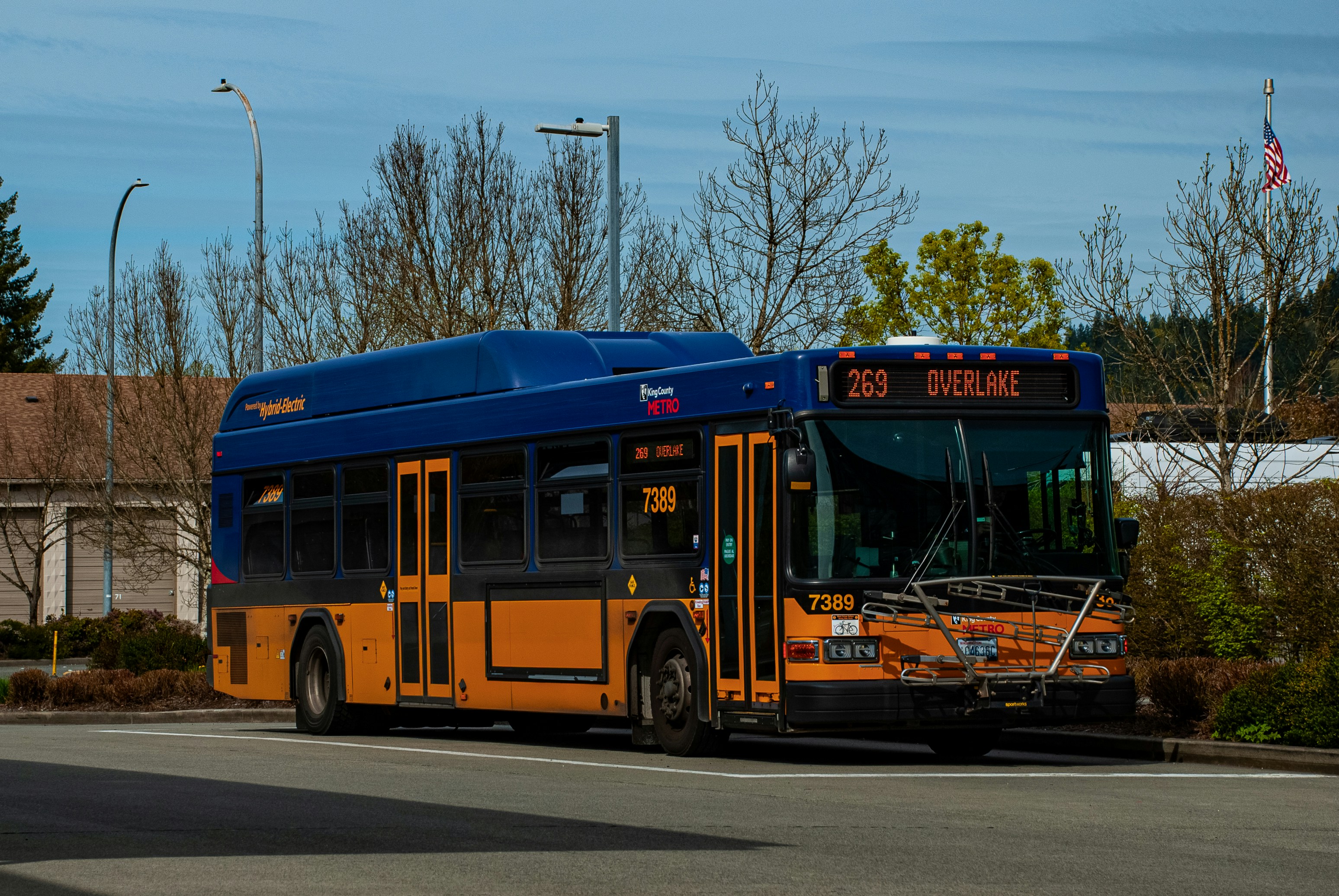 A blue and orange bus driving down a street photo – Free Bus Image on ...