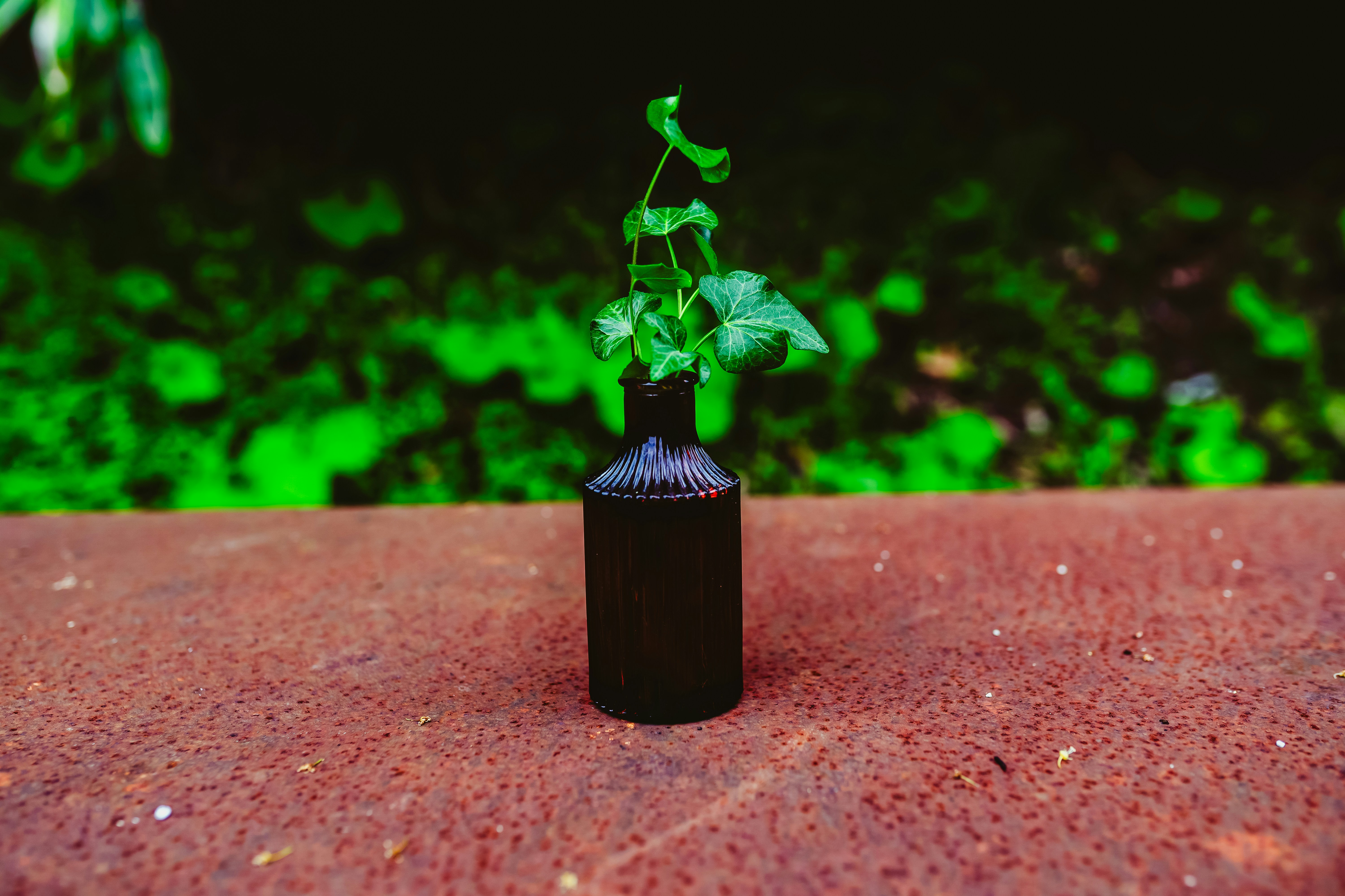 Emerald Sprout in a Dark Bottle on a Rust-Red Surface