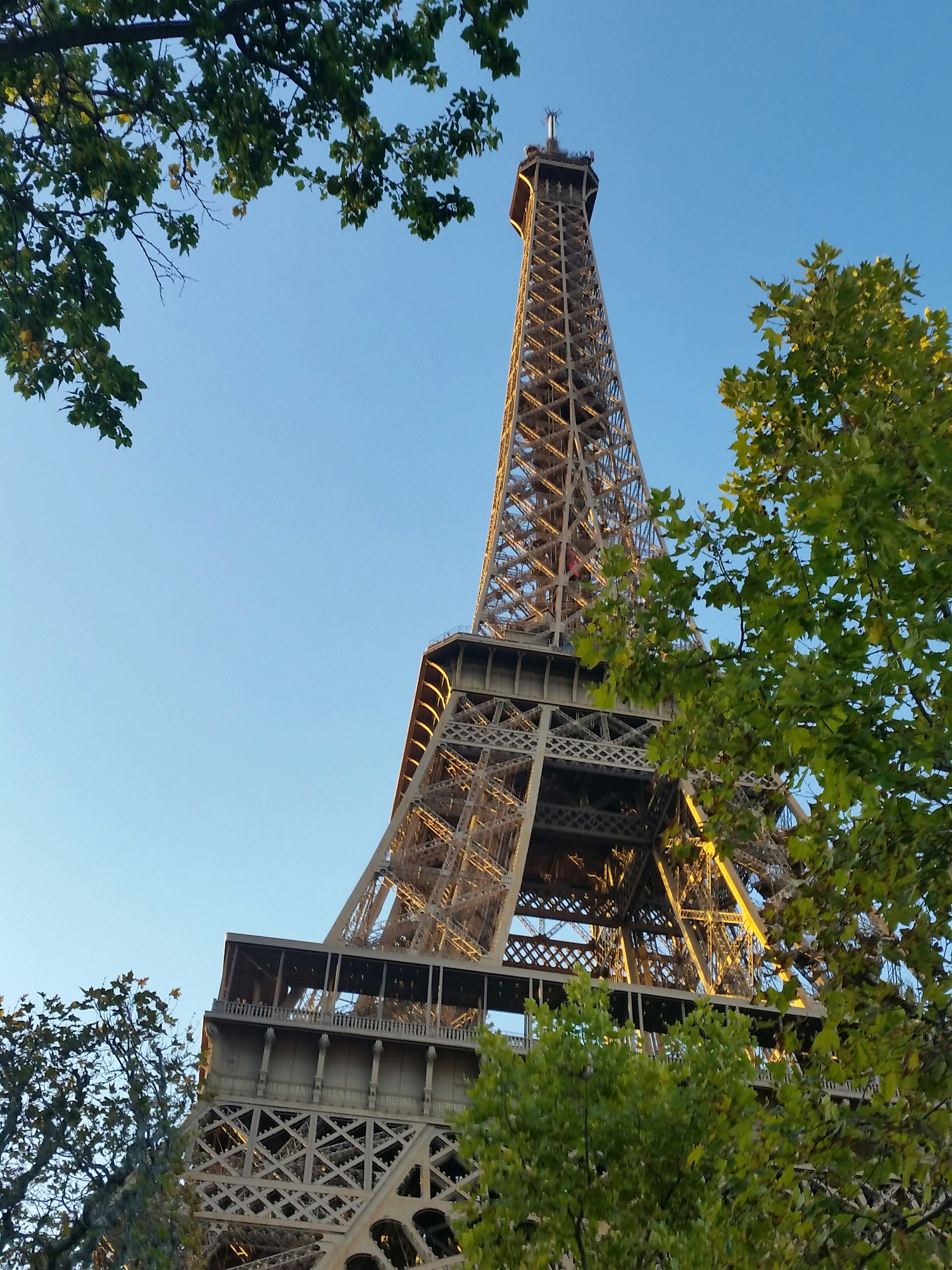 Iron Lace in Blue: The Eiffel Tower Framed by Spring Foliage