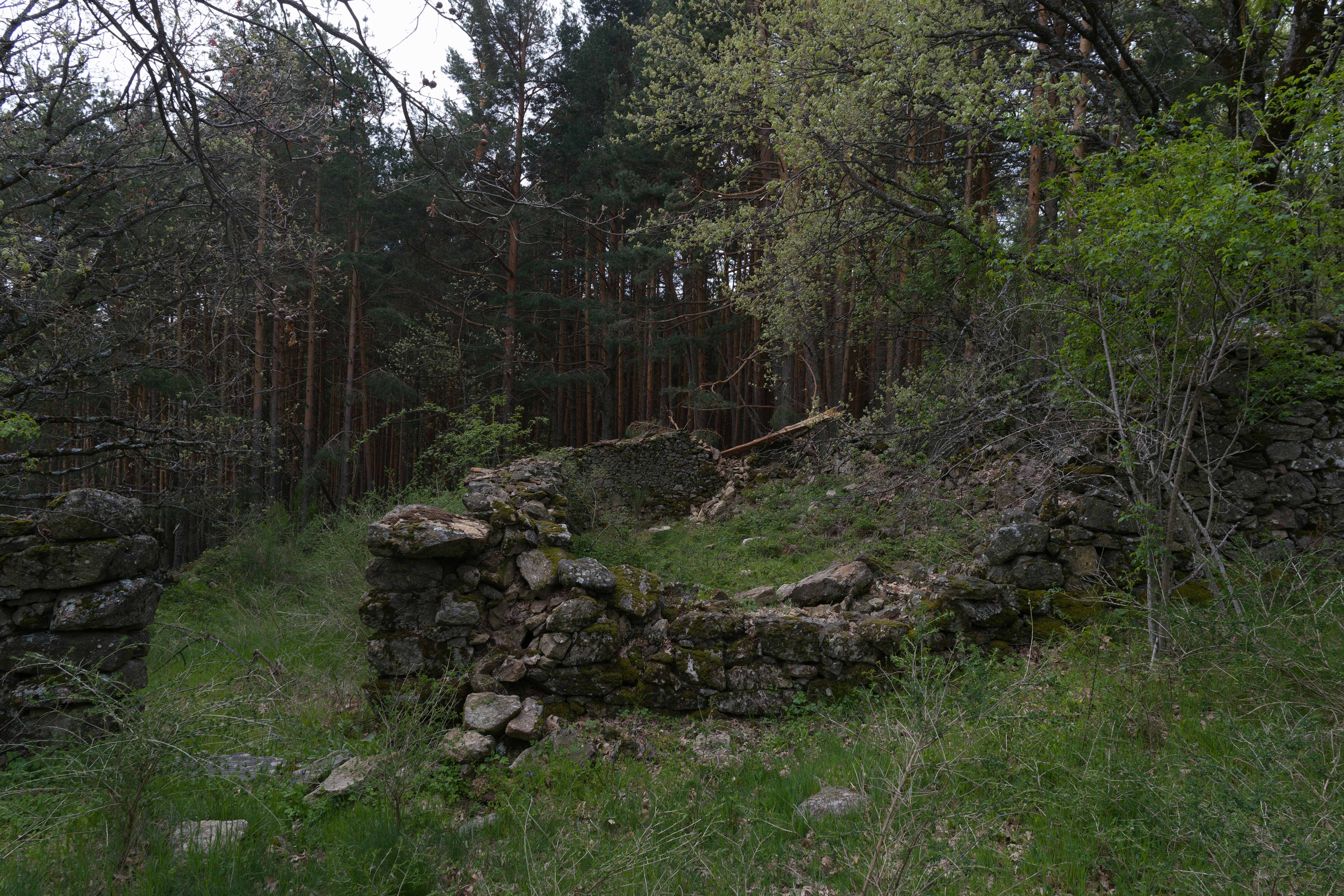 Photo by piotr sawejko with Samsung NX500