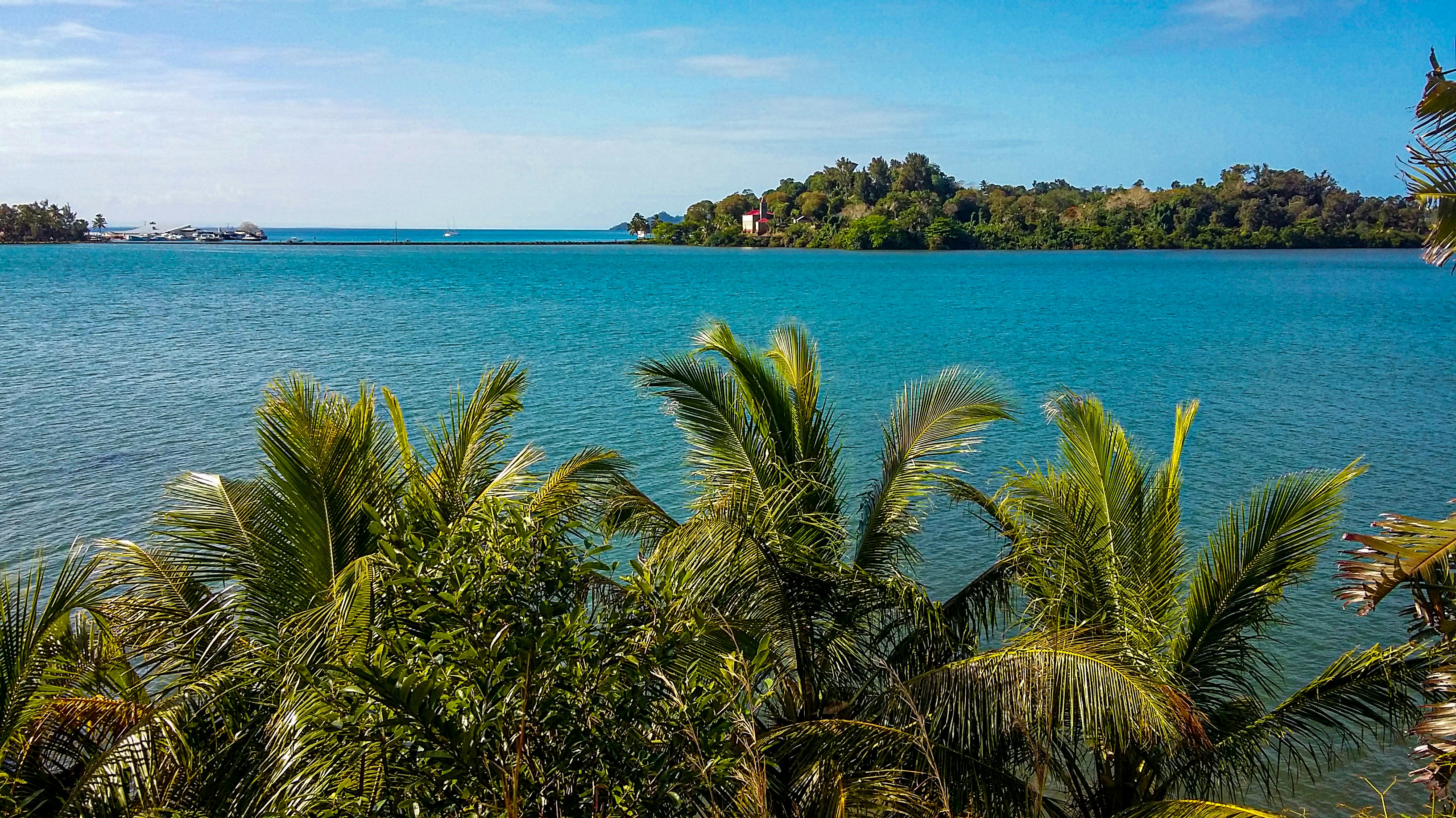 Lush palm trees framing a turquoise sea with distant green islands under a clear blue sky.