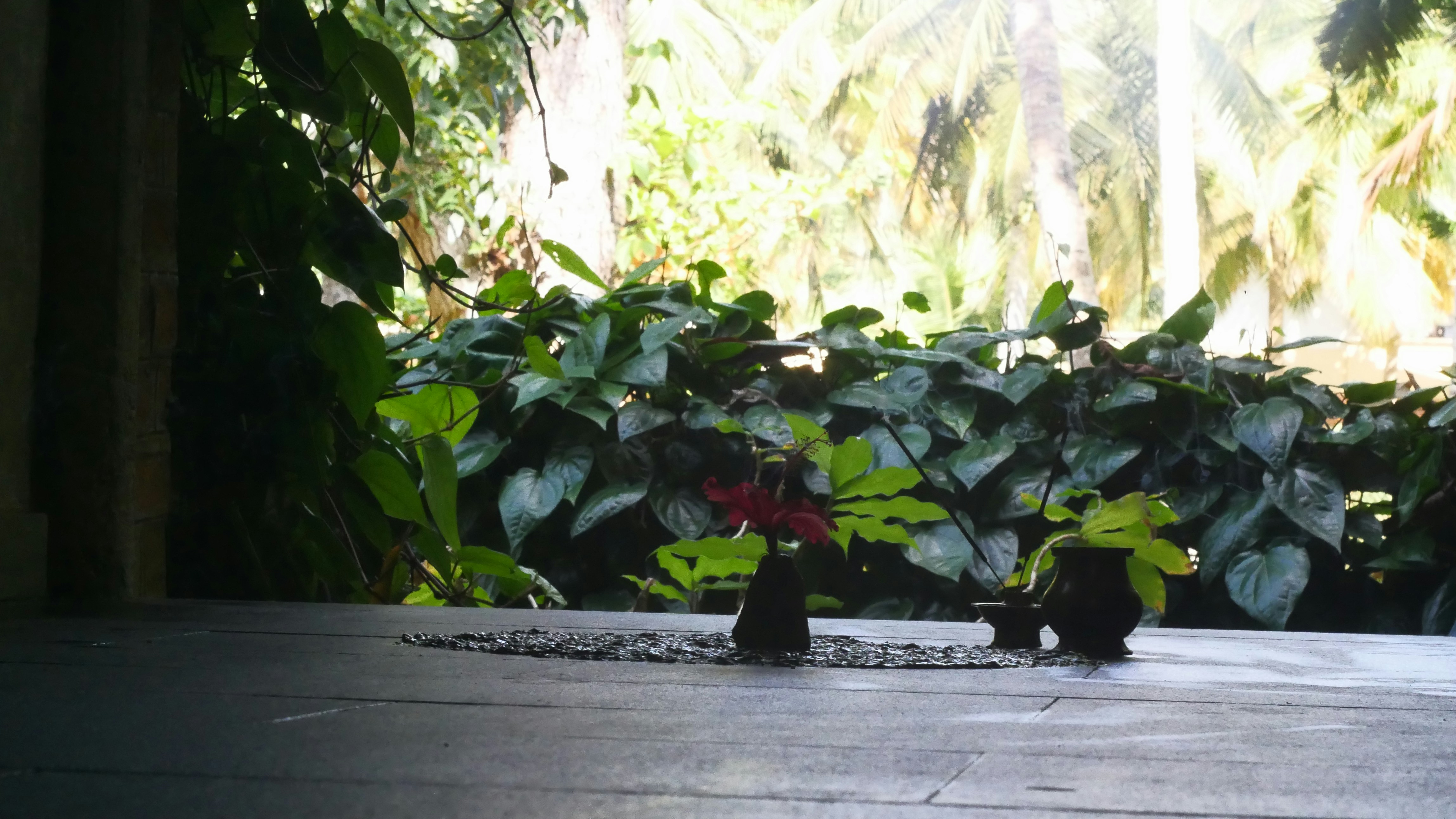 Photo by rajesh kavinpally with Panasonic Lumix G7