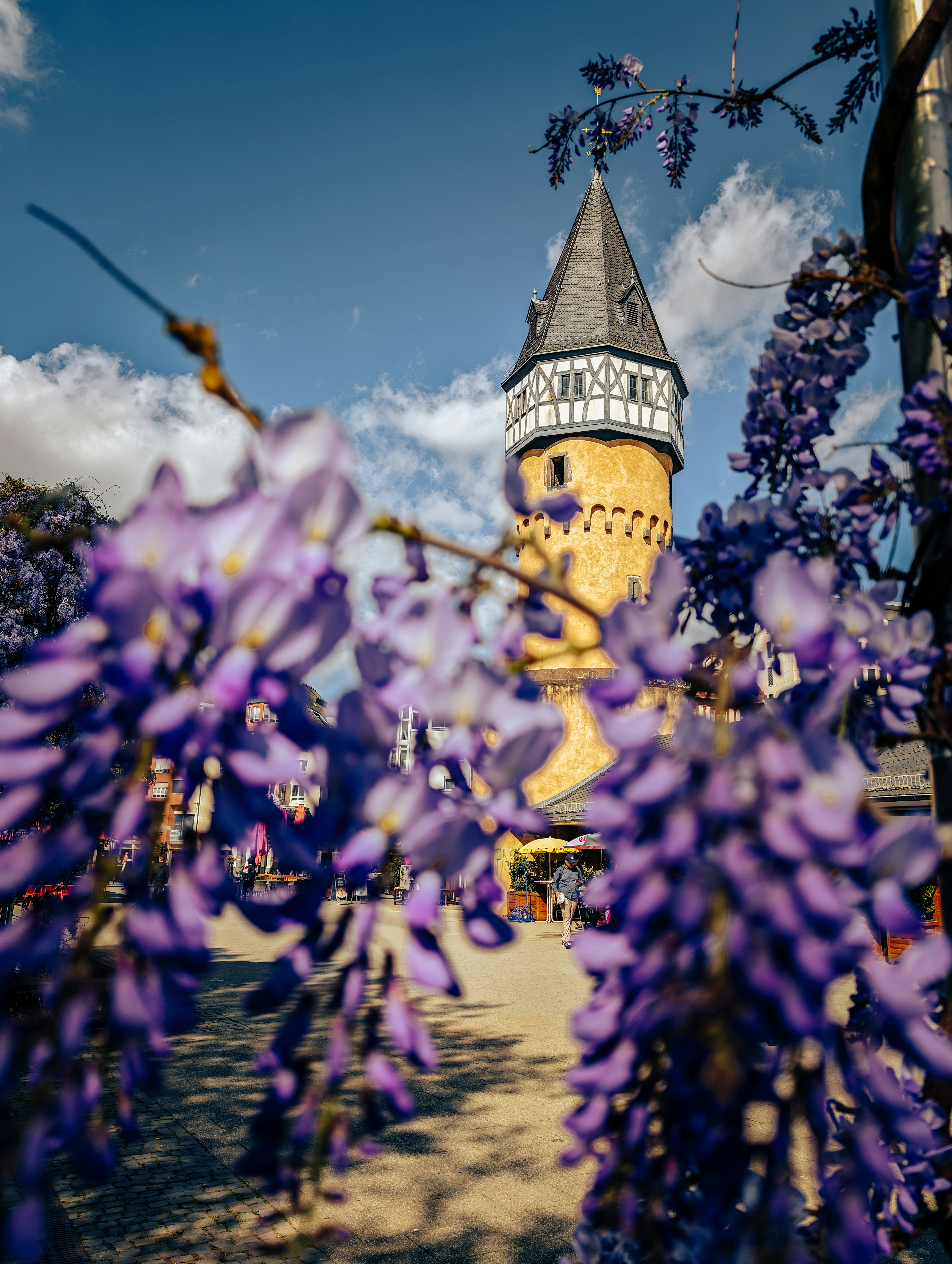 Purple flowers in front of a tower with a sky background photo – Free ...