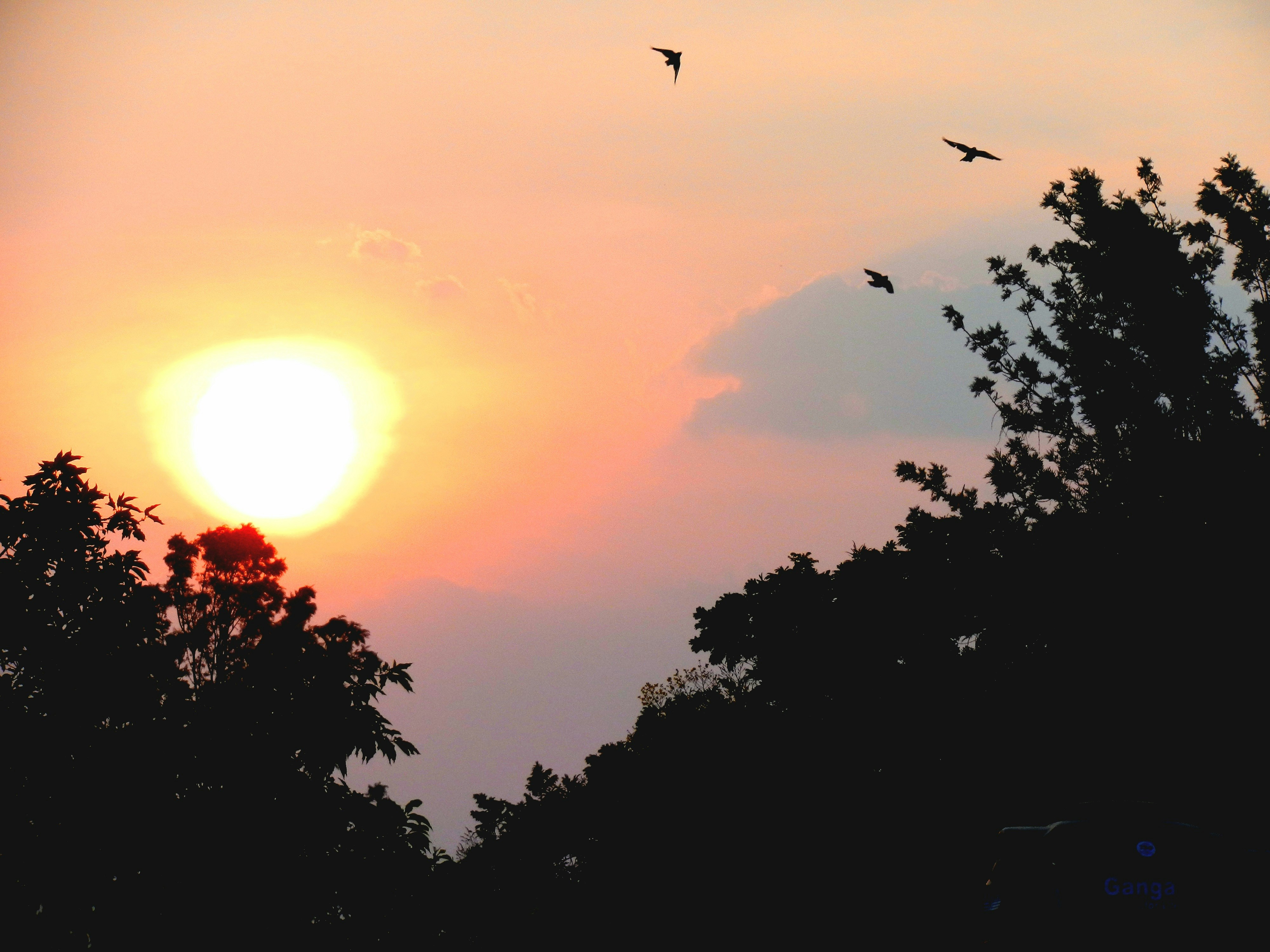 Photo by Muhammed Faizan Hussain with Nikon Coolpix S9100