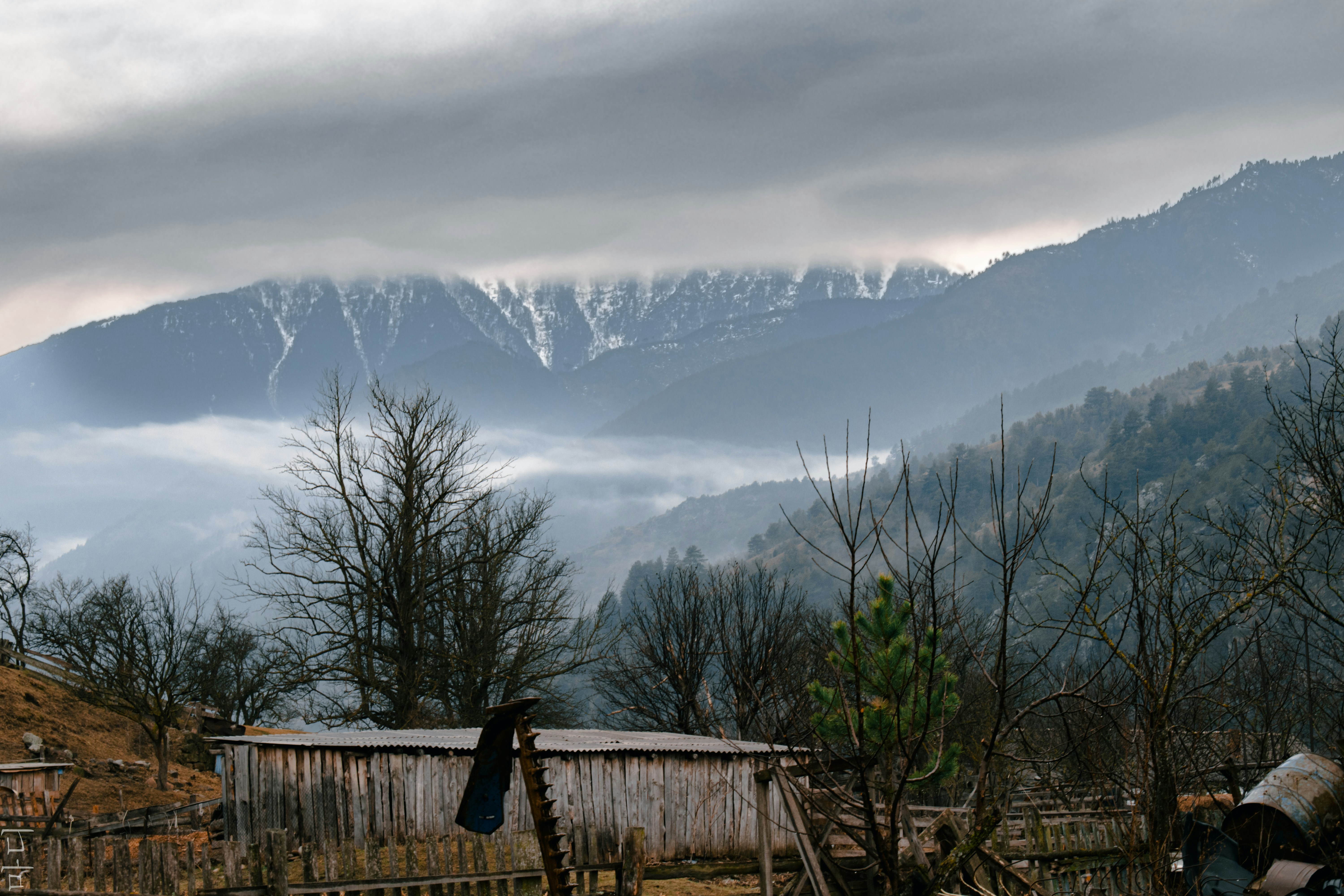 Crow Over a Weathered Homestead Against Snow-Dusted Peaks