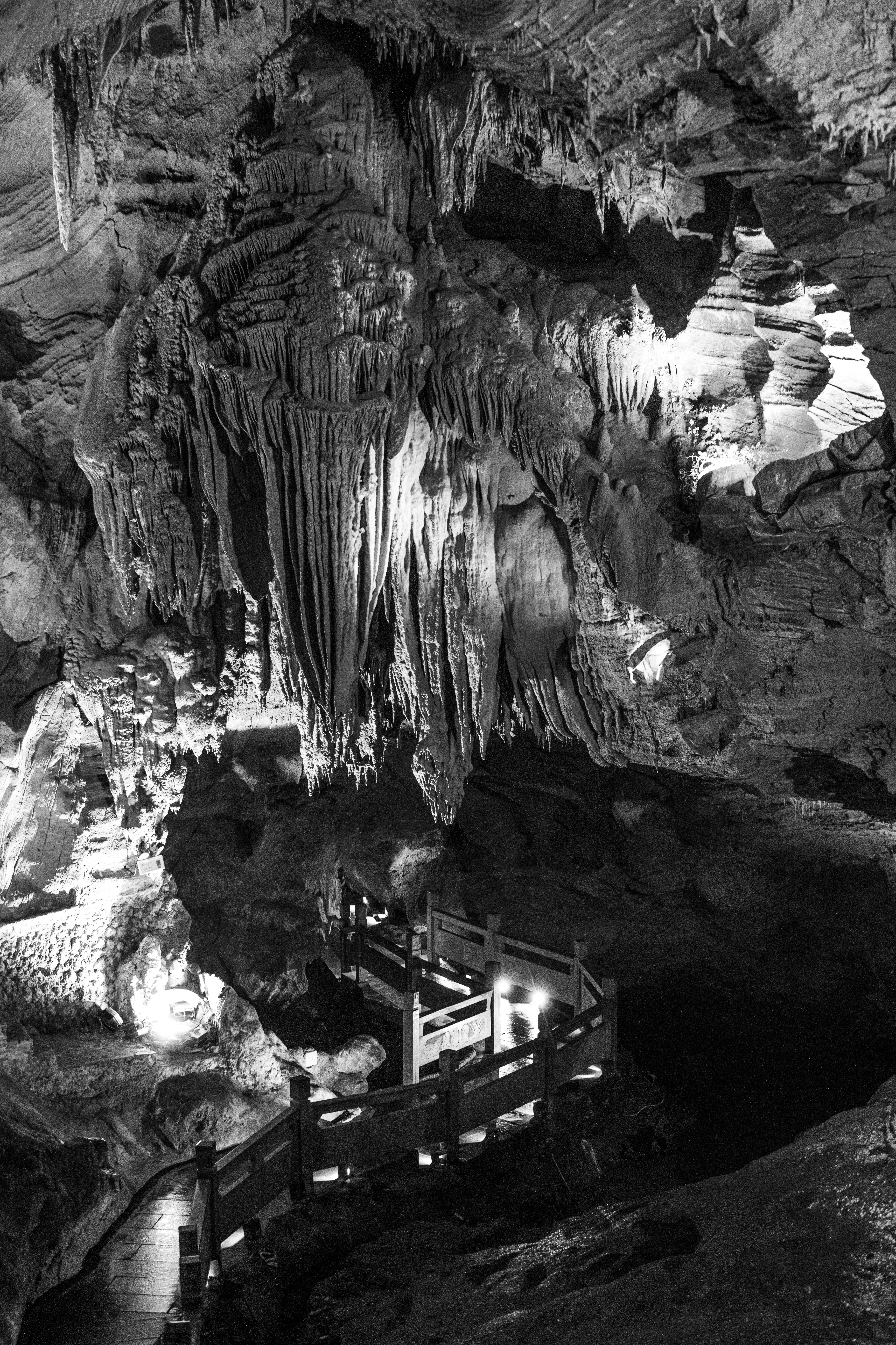 Limestone Cathedral Walk: A Narrow Boardwalk Through a Cavern of Stalactites