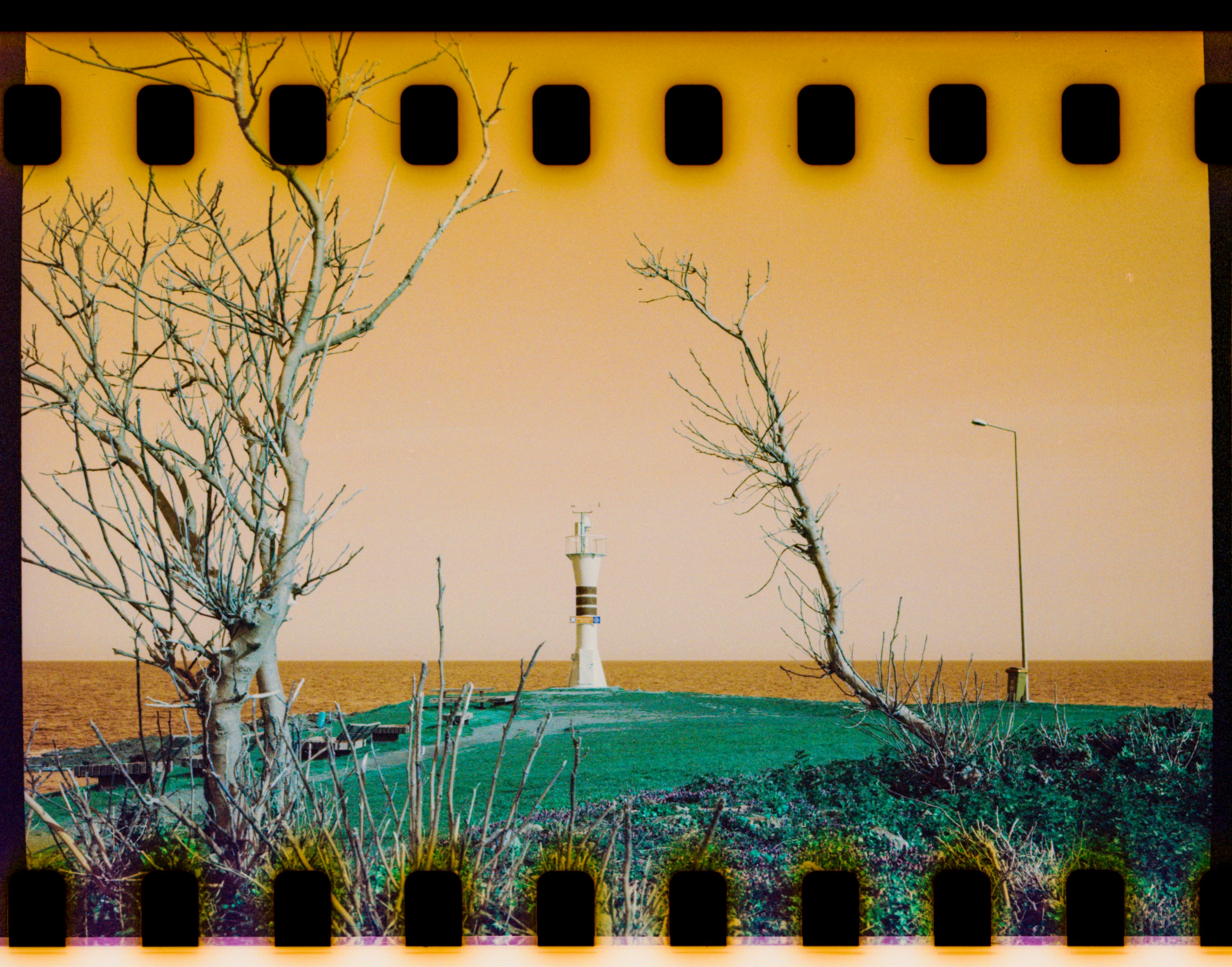 LomoChrome Turquoise 🎞️