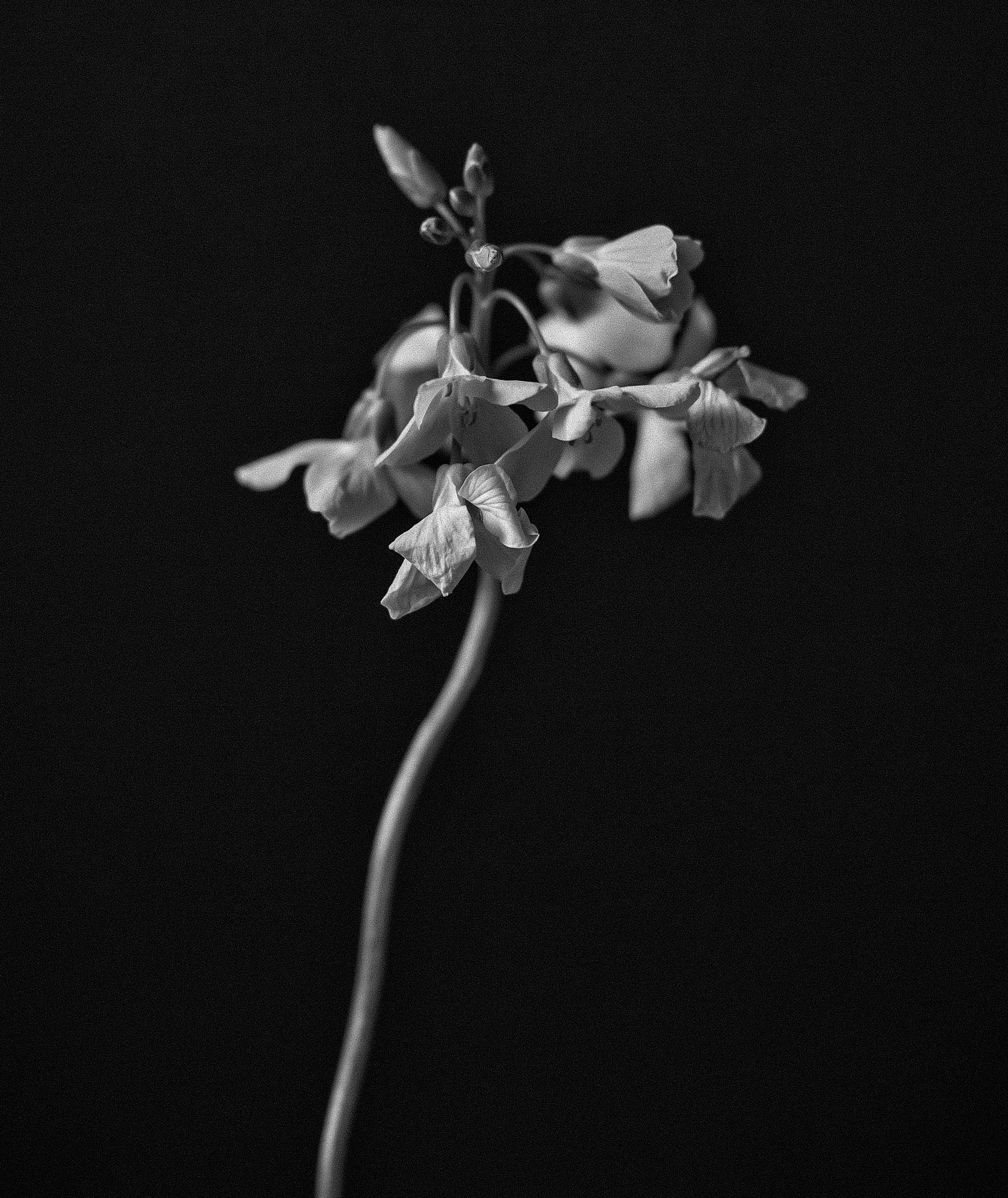 Sample photo from Canon EOS-1Ds Mark II