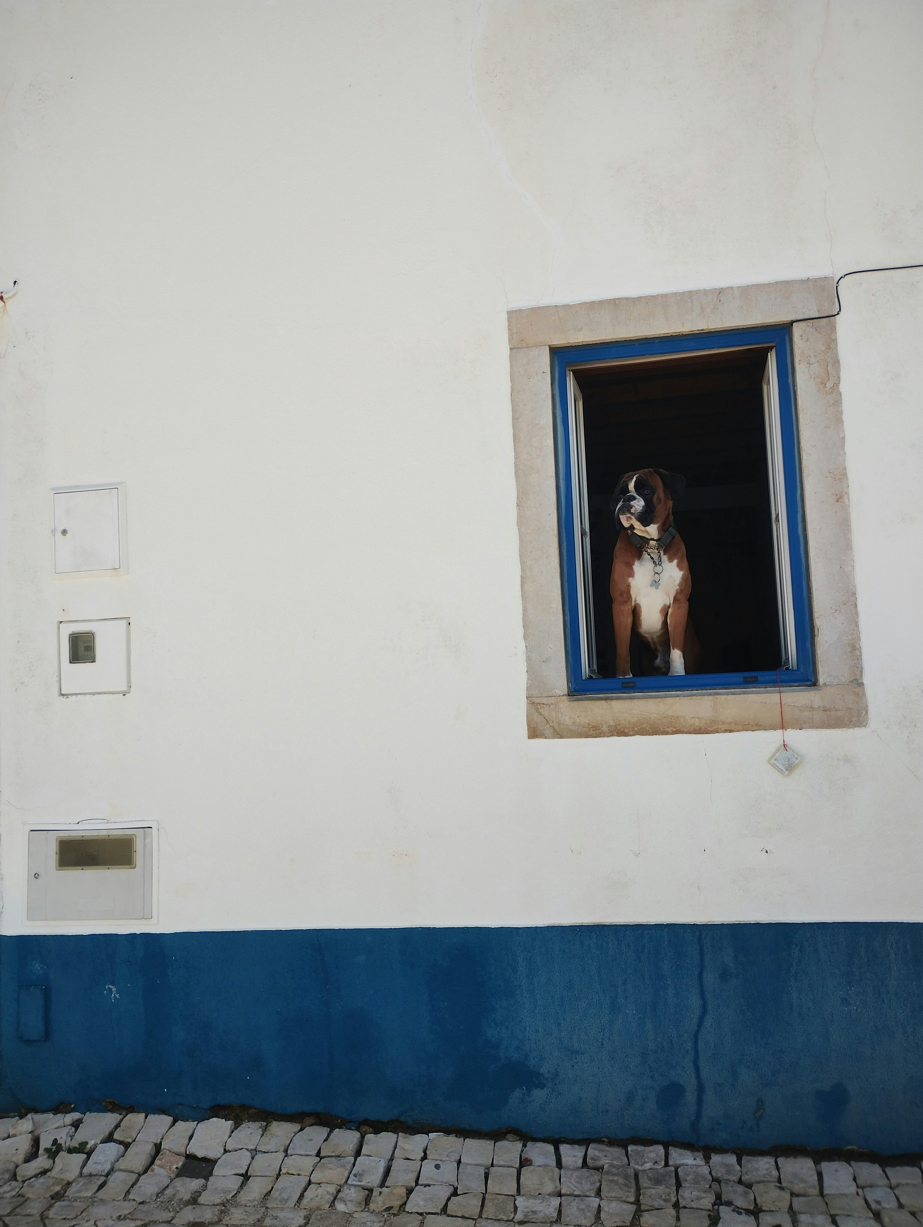 Photo by Sarah Wüst with Motorola G62