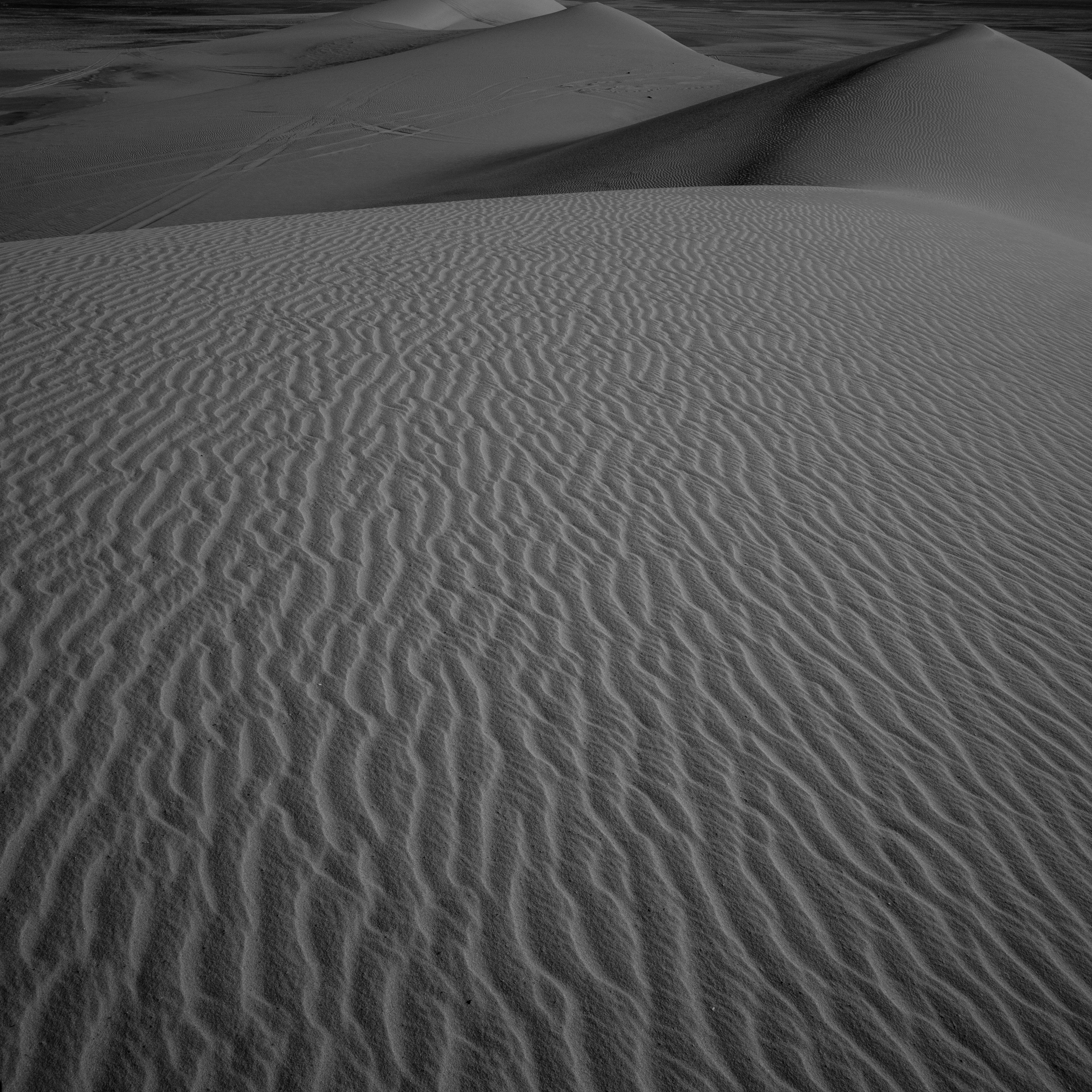 Grayscale Ripplescape: Wind-carved Dunes in Quiet Light