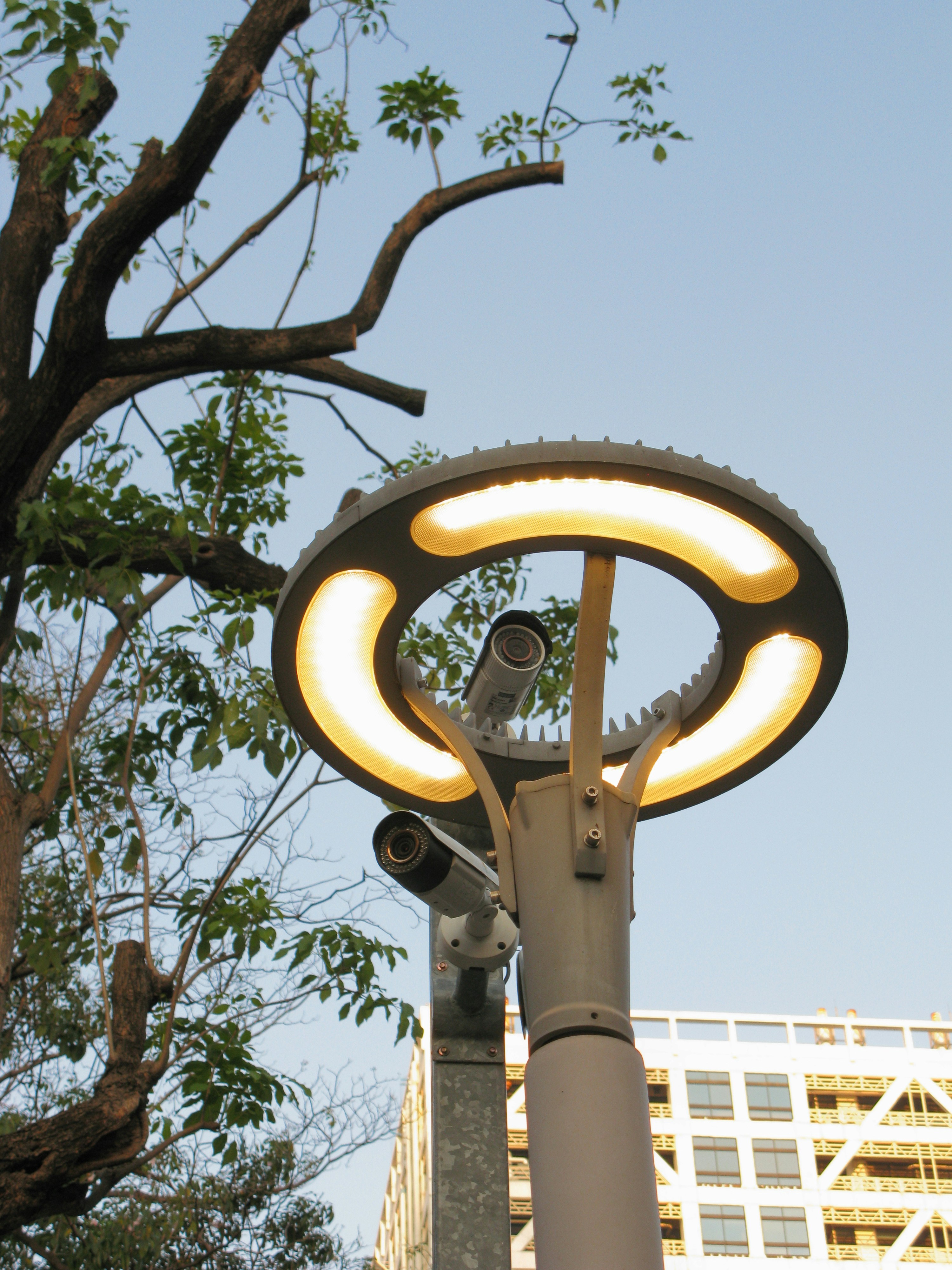 A circular LED-ring streetlamp mounted on a metal pole with a camera beneath the glow, framed by tree branches against a clear blue sky and a modern building.