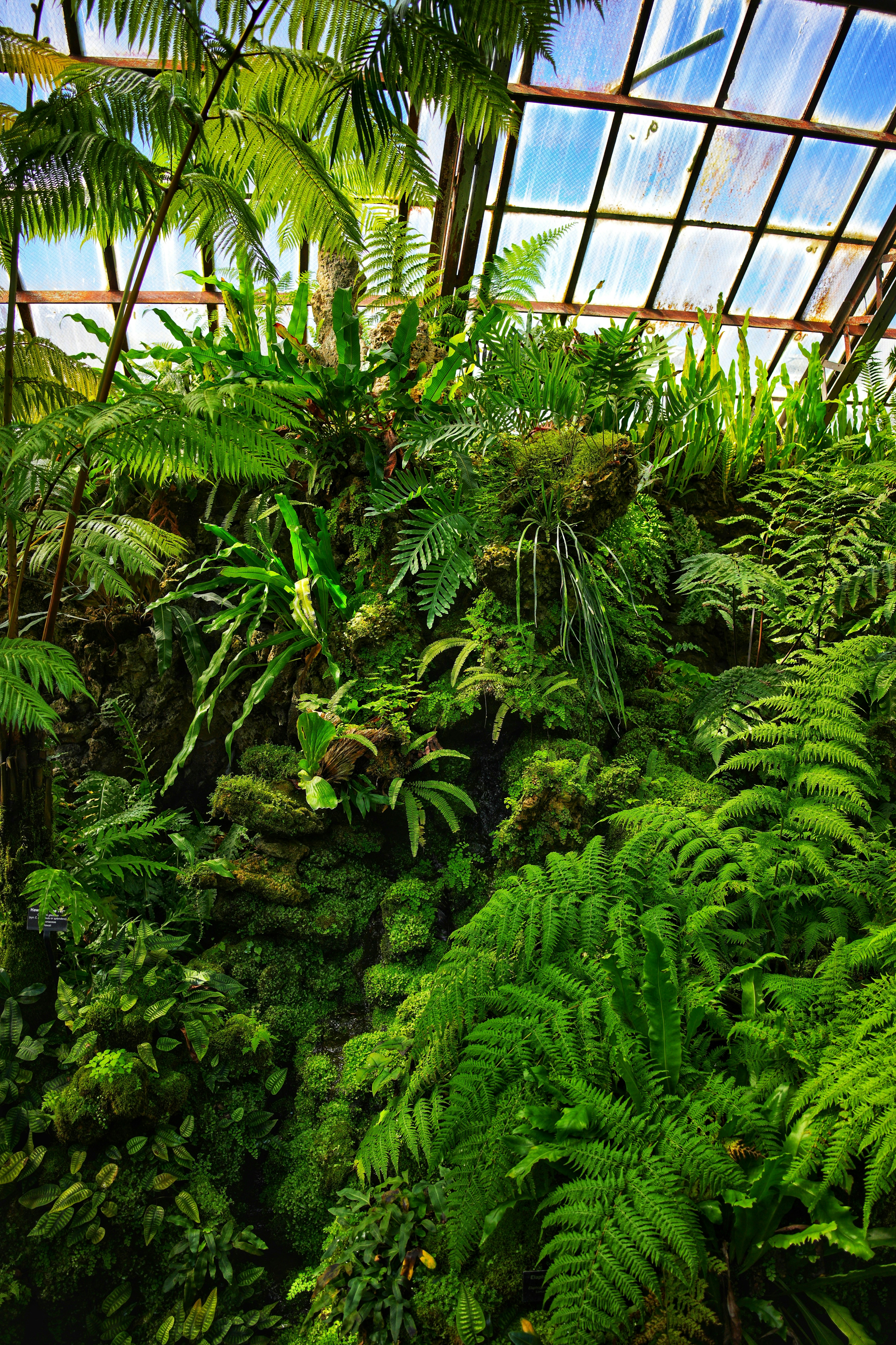 Photo by Jay Patel with Sony Alpha 7 IV