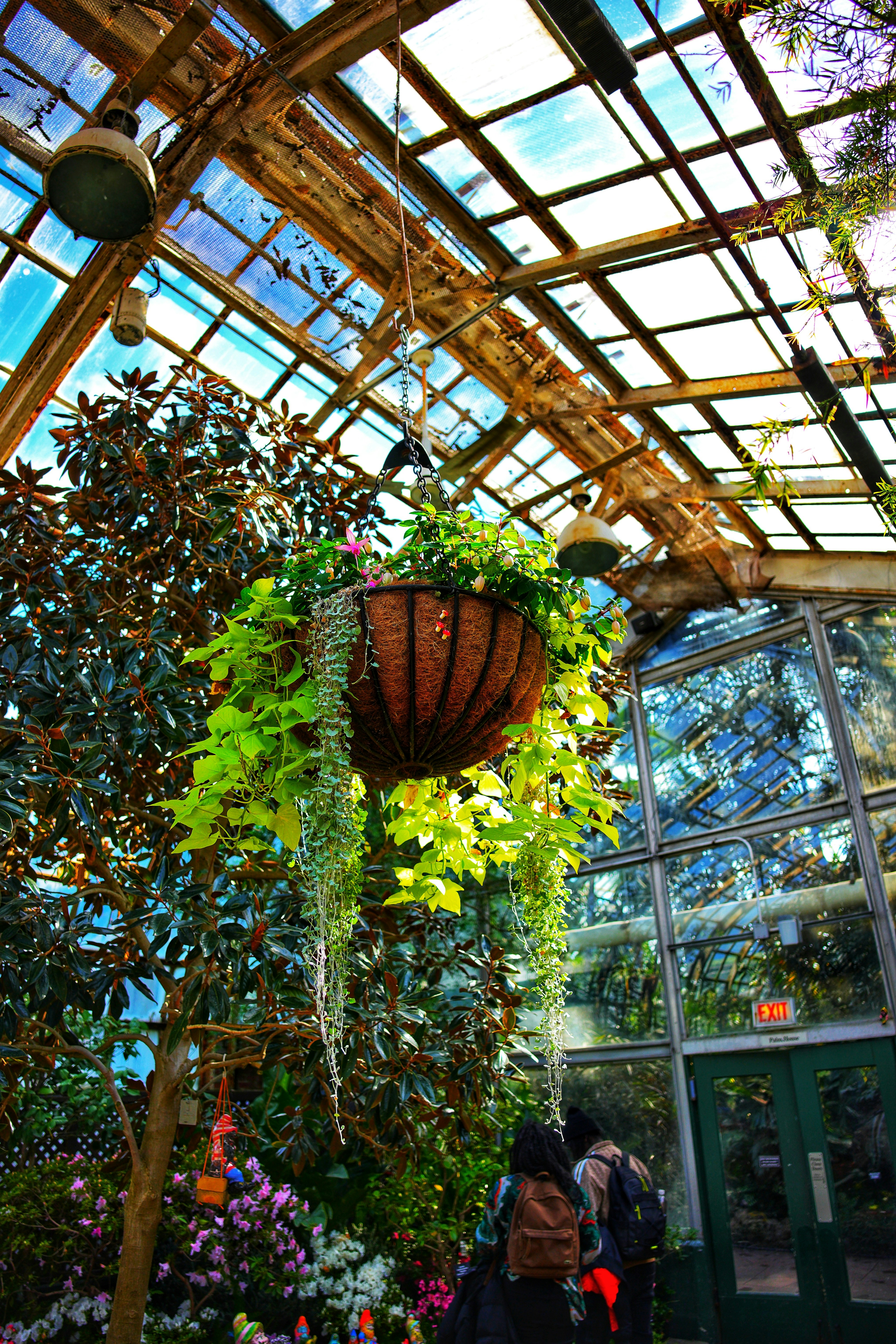 Photo by Jay Patel with Sony Alpha 7 IV