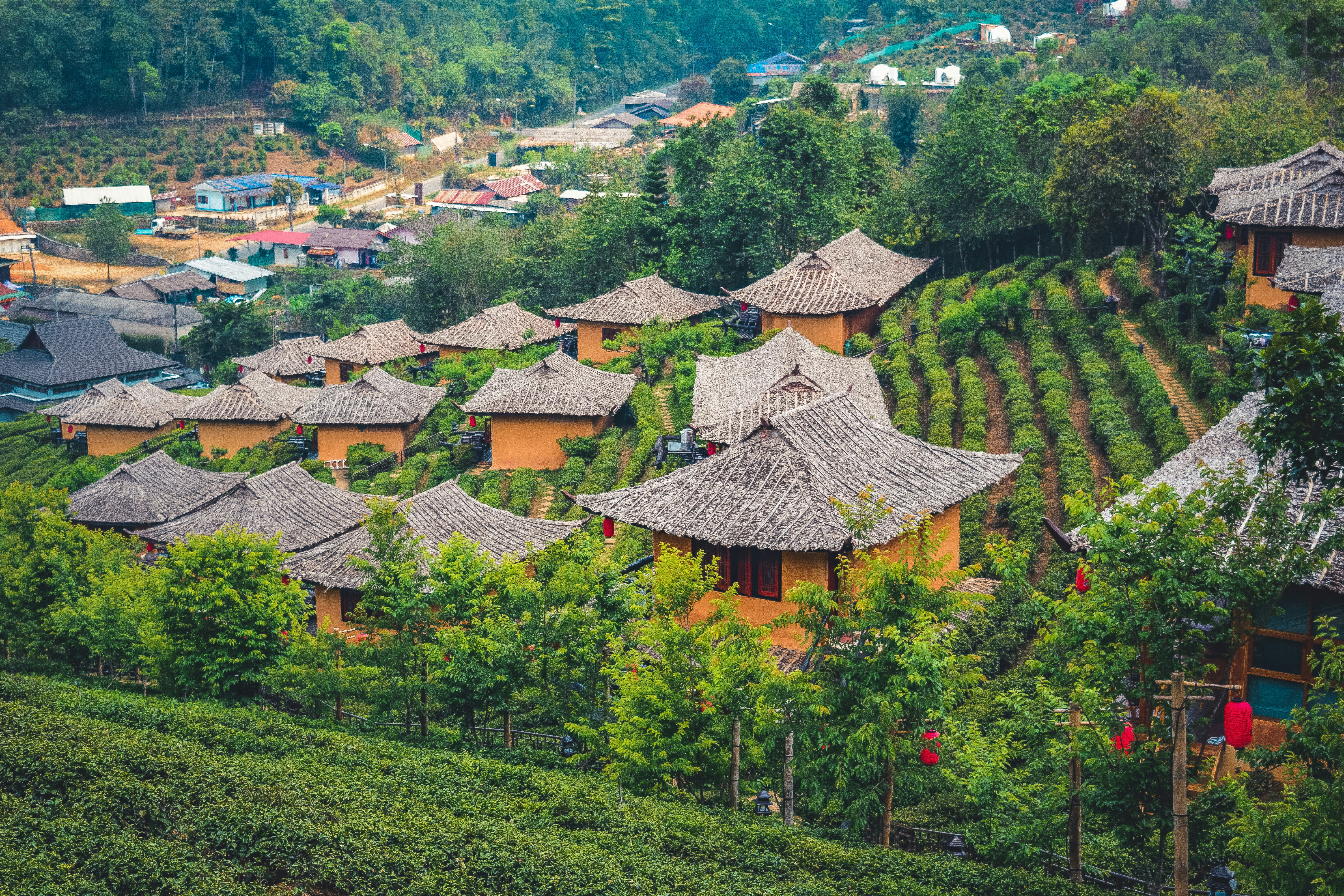 Traditional houses nestled among lush green terraces on a hillside.