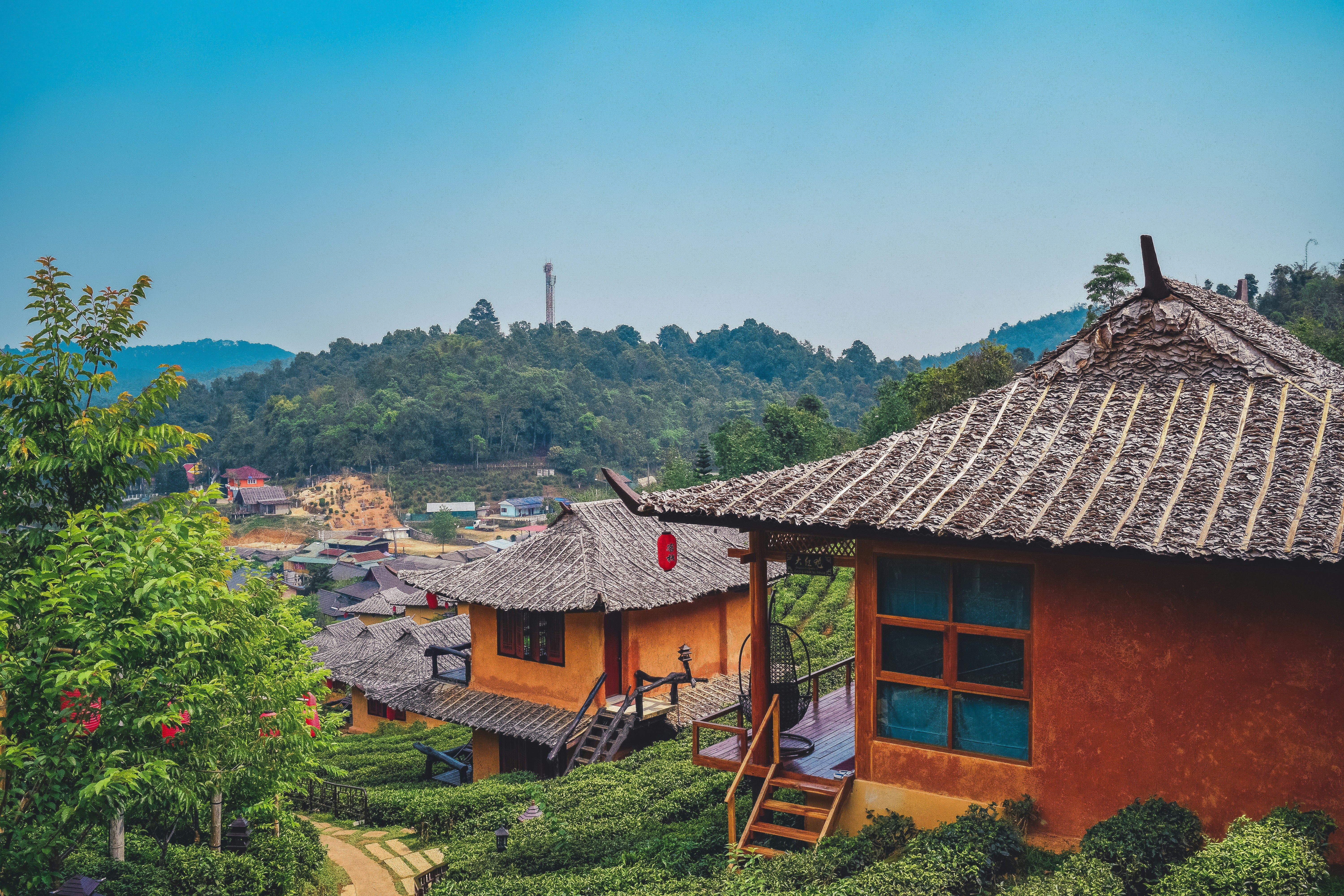 A house with a thatched roof in a tea estate photo – Free Ban rak thai ...