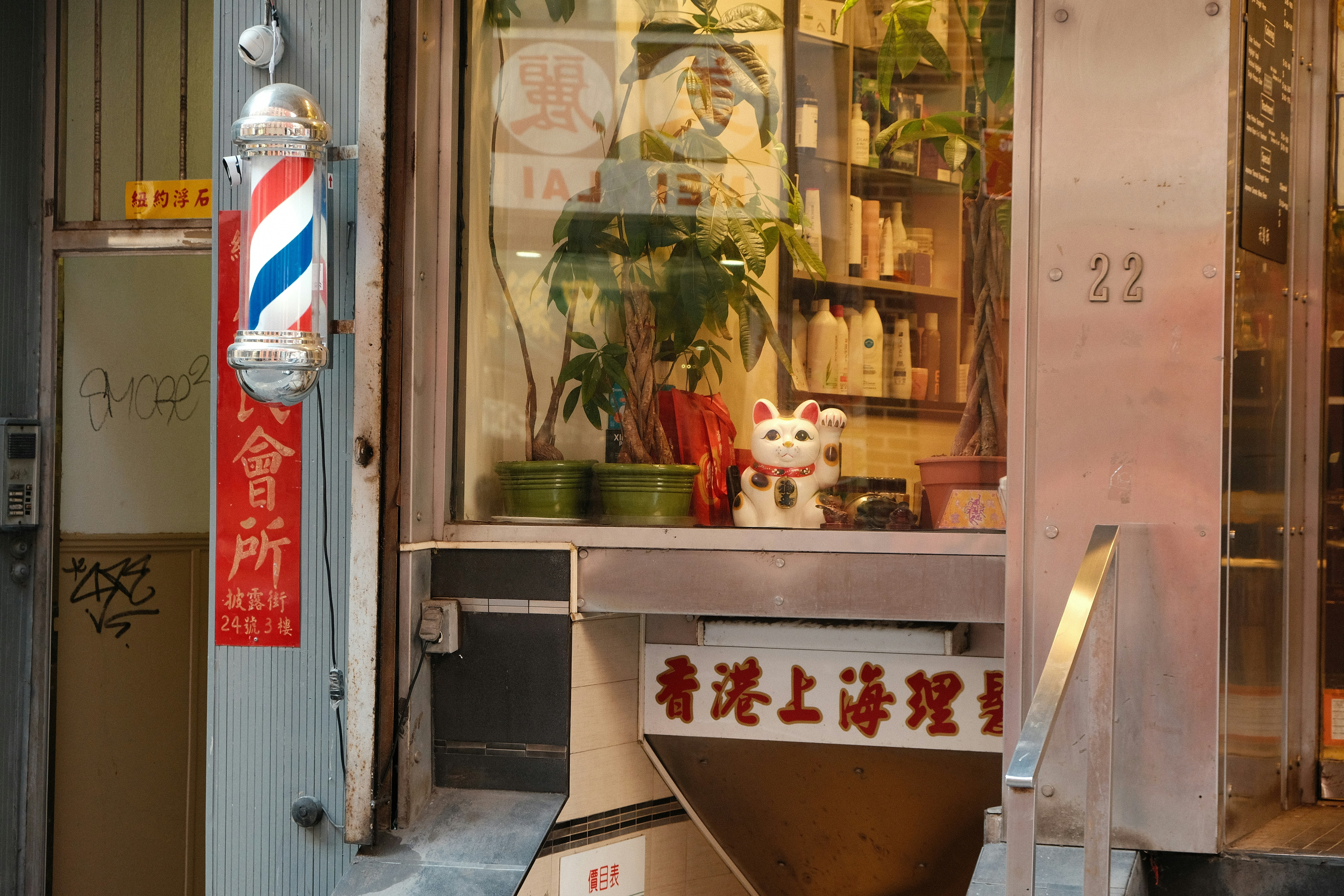 Maneki-neko Watch: Friendly Cat Framing in a Quiet Shopfront