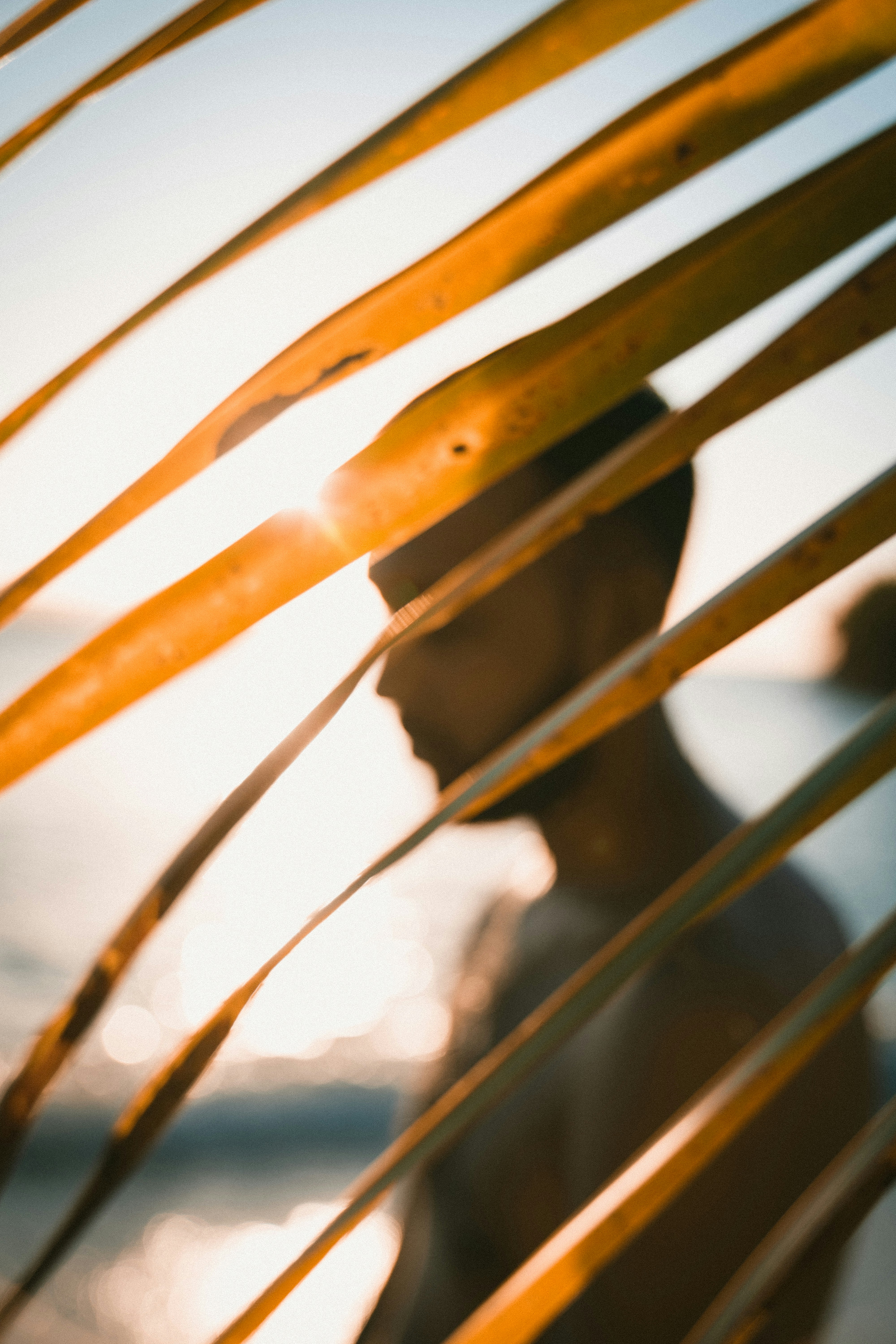 Posing behind palm leaves during the sunset.