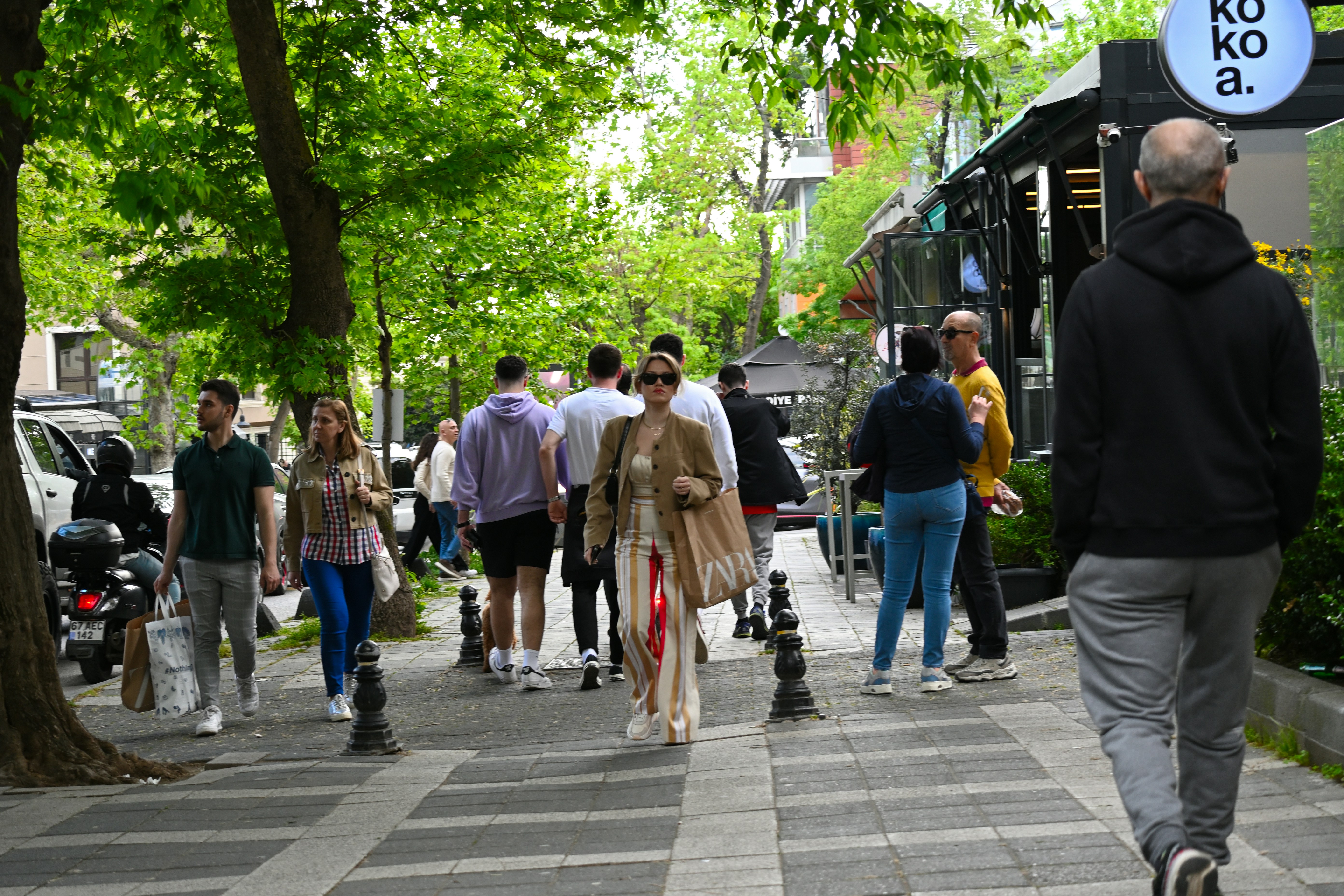 Photo by Amin Zabardast with Nikon Z30