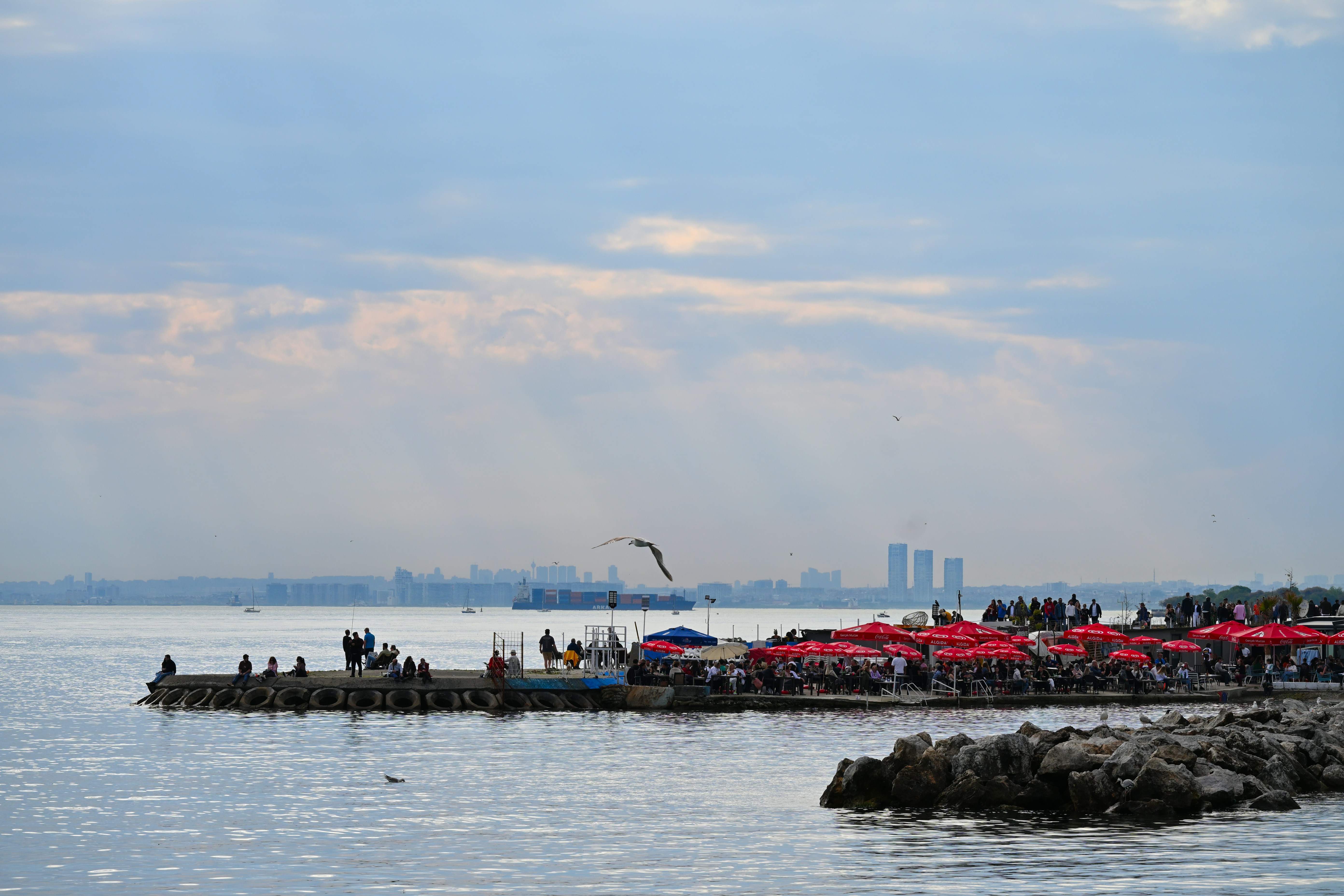 Photo by Amin Zabardast with Nikon Z30