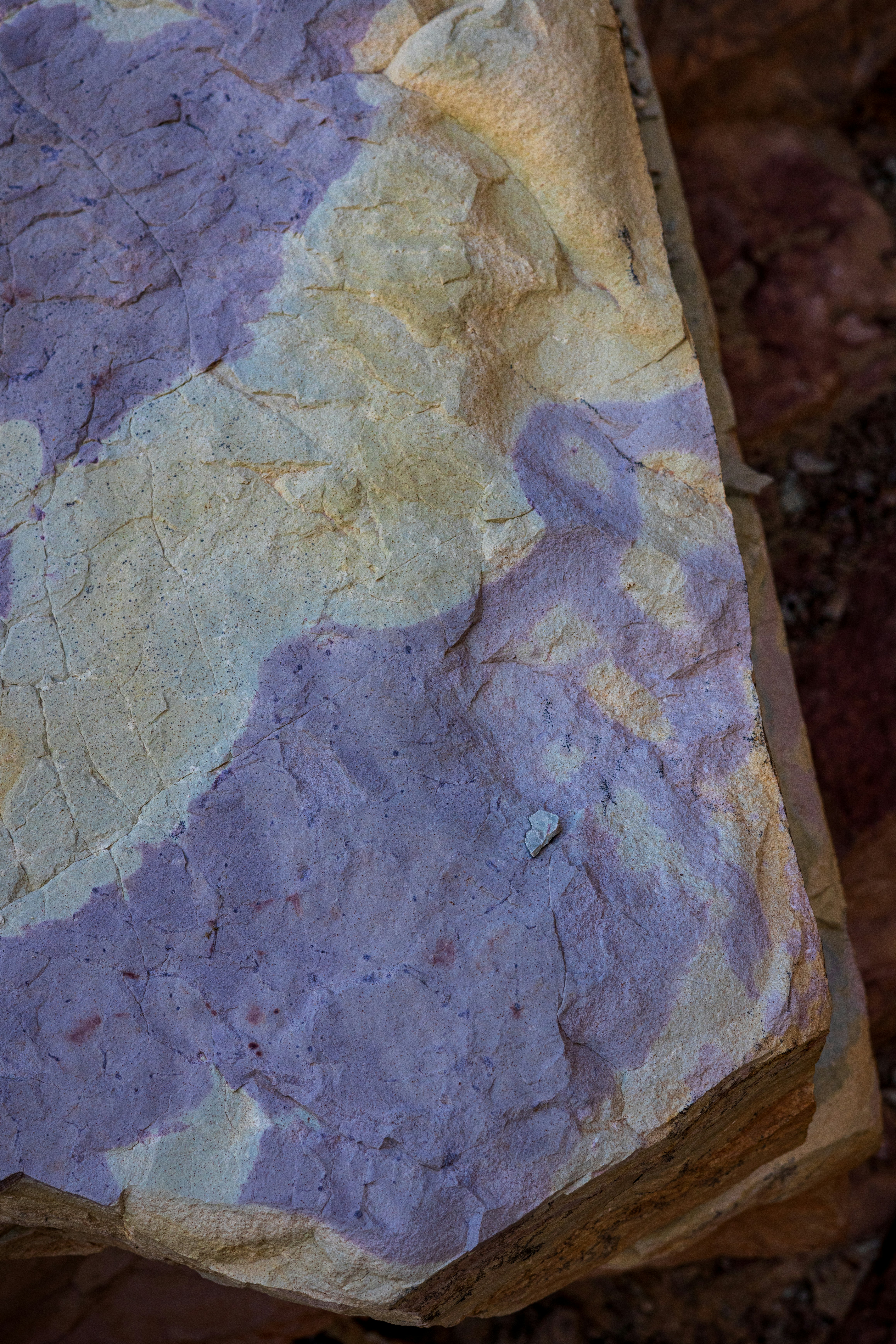 Lavender Veins on Weathered Stone: a Close-Up Study of Color and Texture