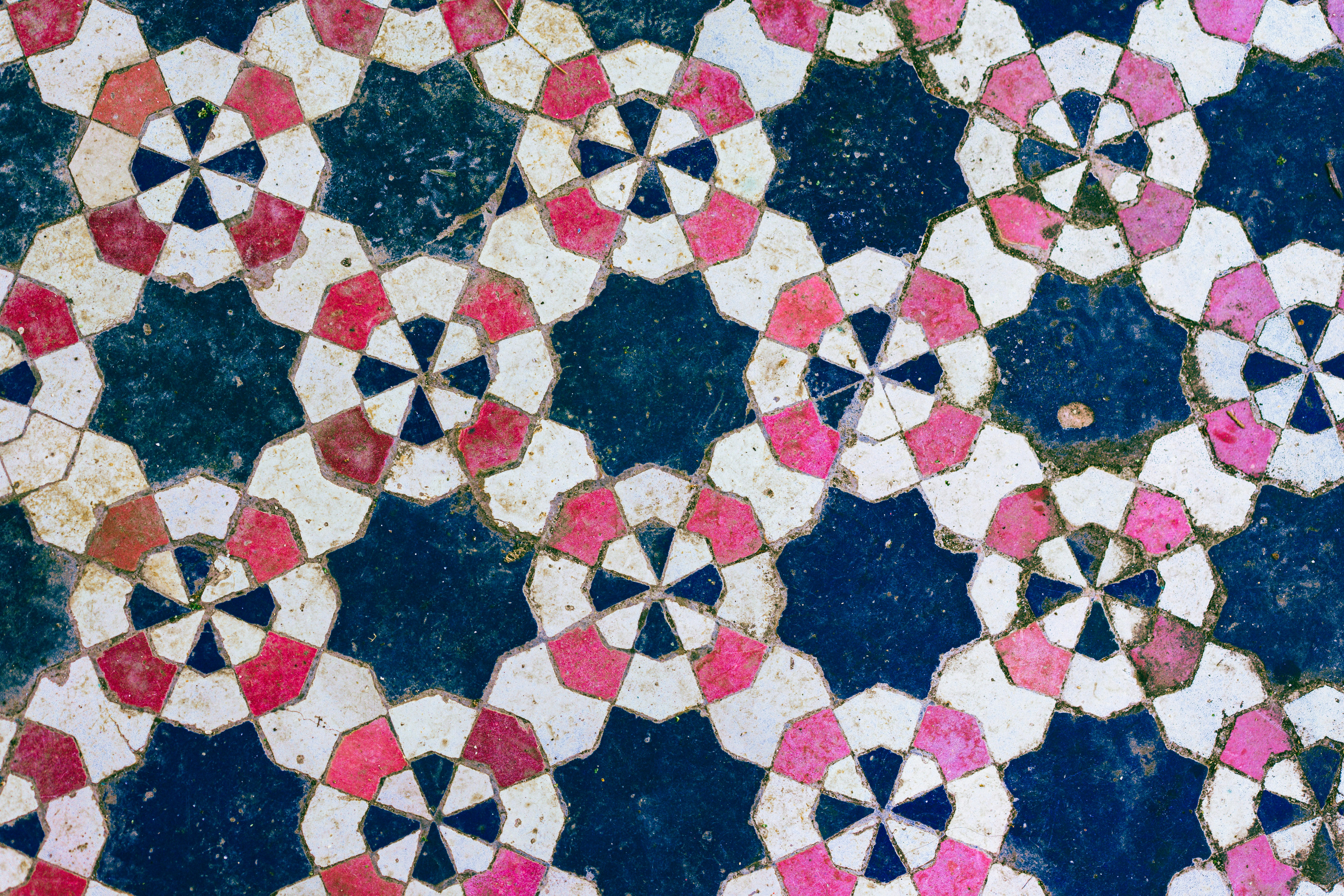 A close up of a colorful tile design photo – Free Flowers Image on Unsplash