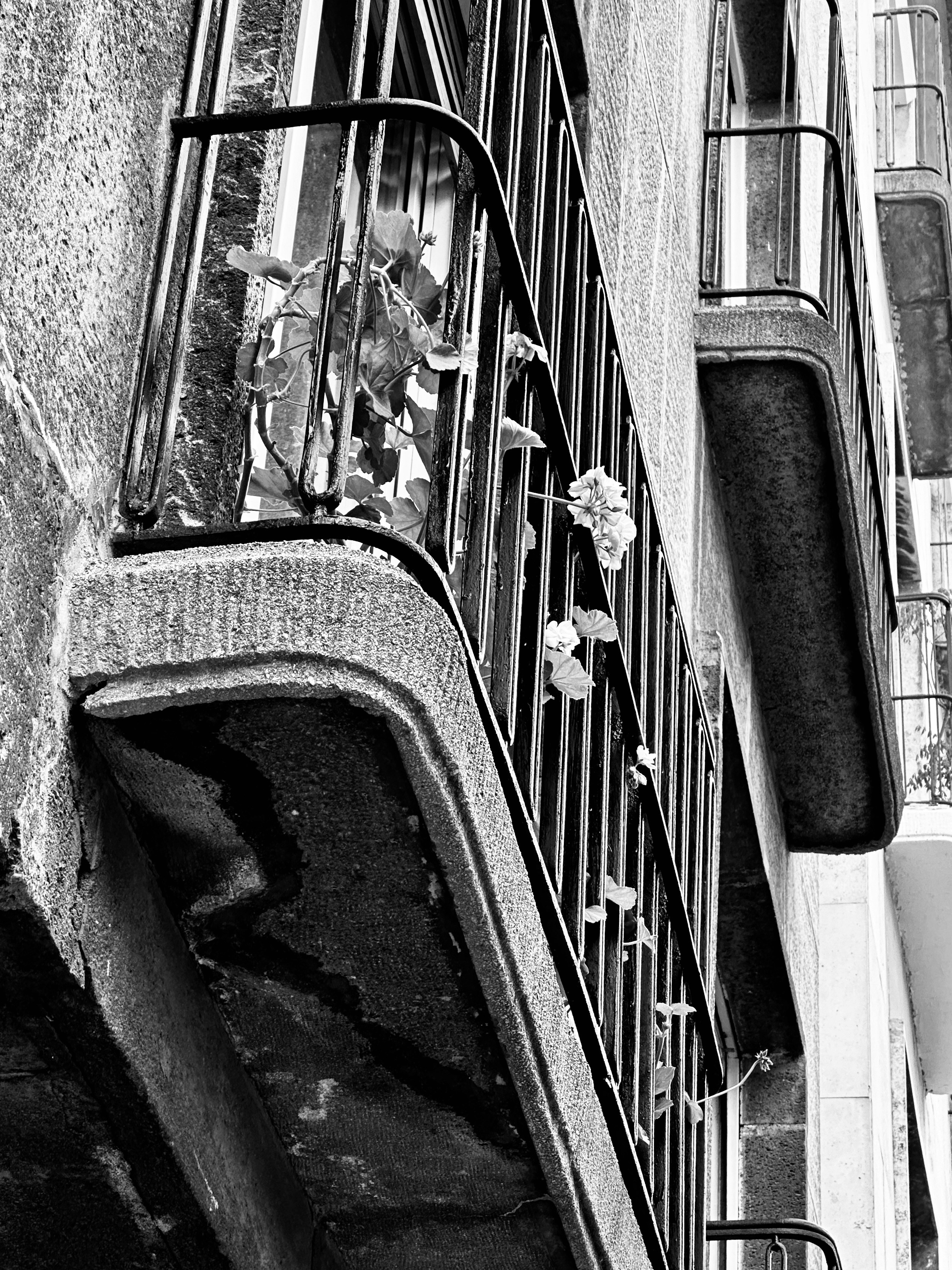 Balcony adorned with flowering plants, showcasing a juxtaposition of nature against a textured concrete facade. Black and white tones highlight architectural details.