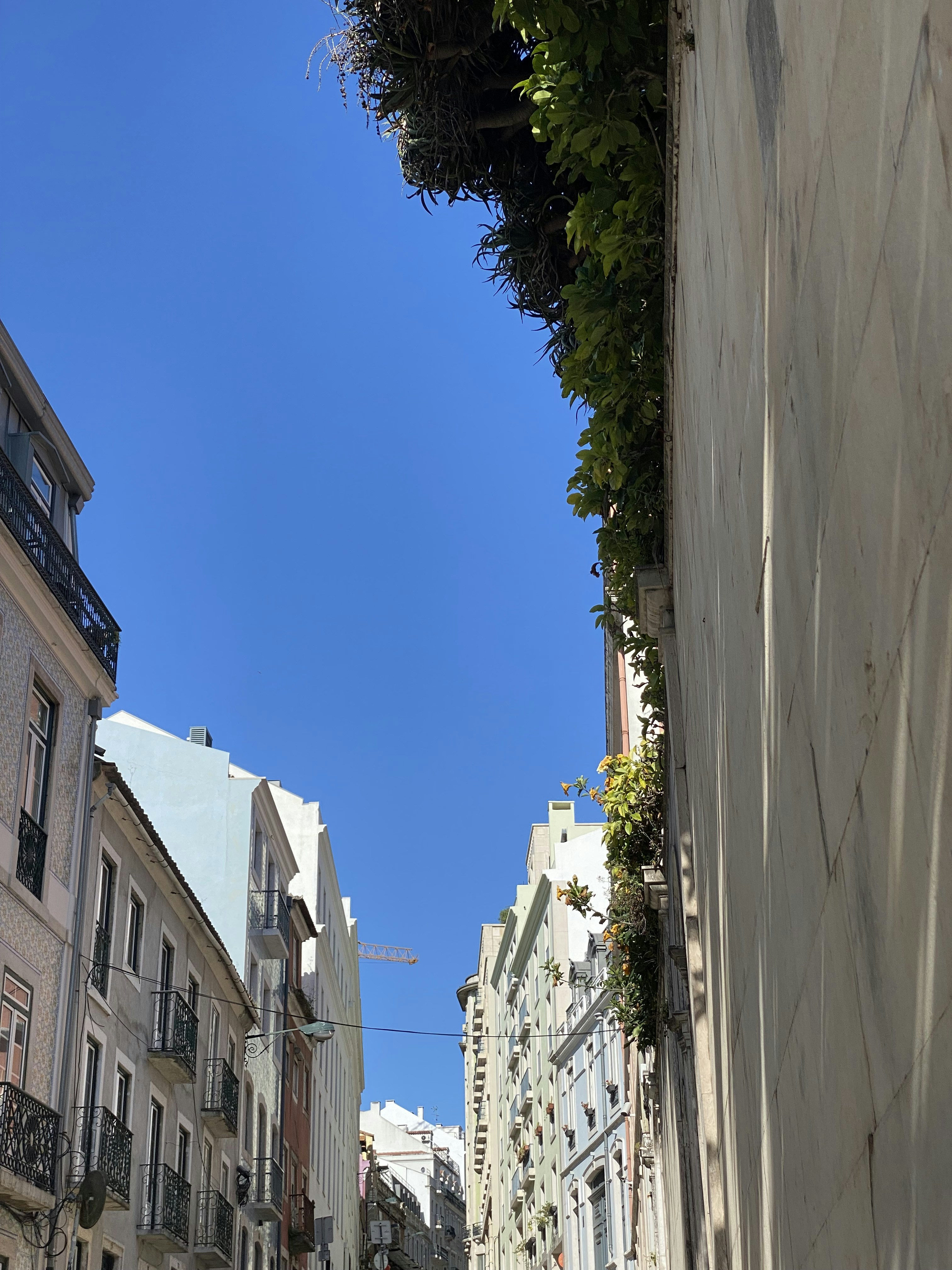 Skyward Canyon: Sunlit Facades Framing a Clear Blue Sky