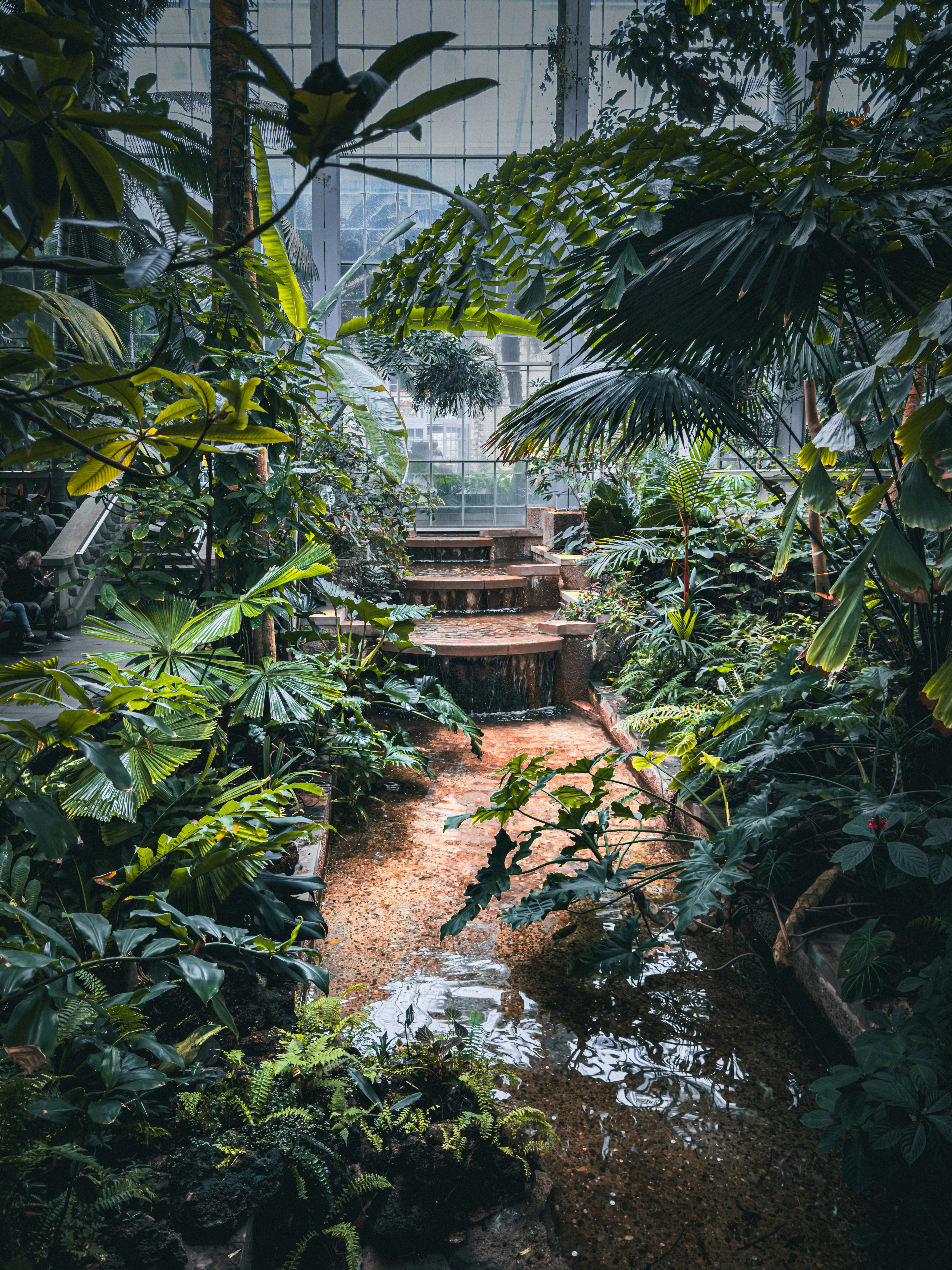 Verdant Glasshouse Cascade: A Quiet Fountain Amid Tropical Foliage