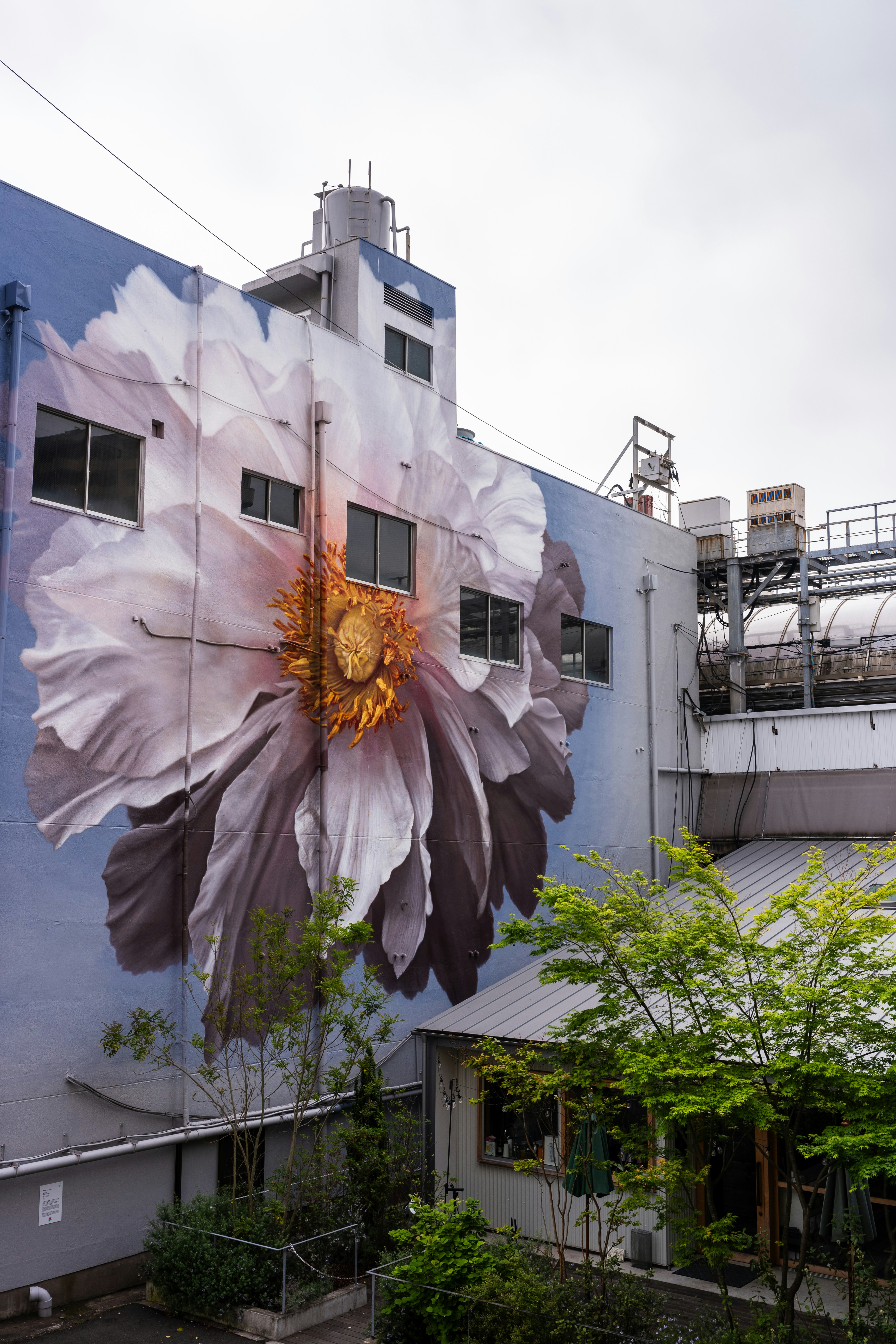 Petal Crowned Wall: A Giant Flower Mural Blooms Across an Industrial Facade
