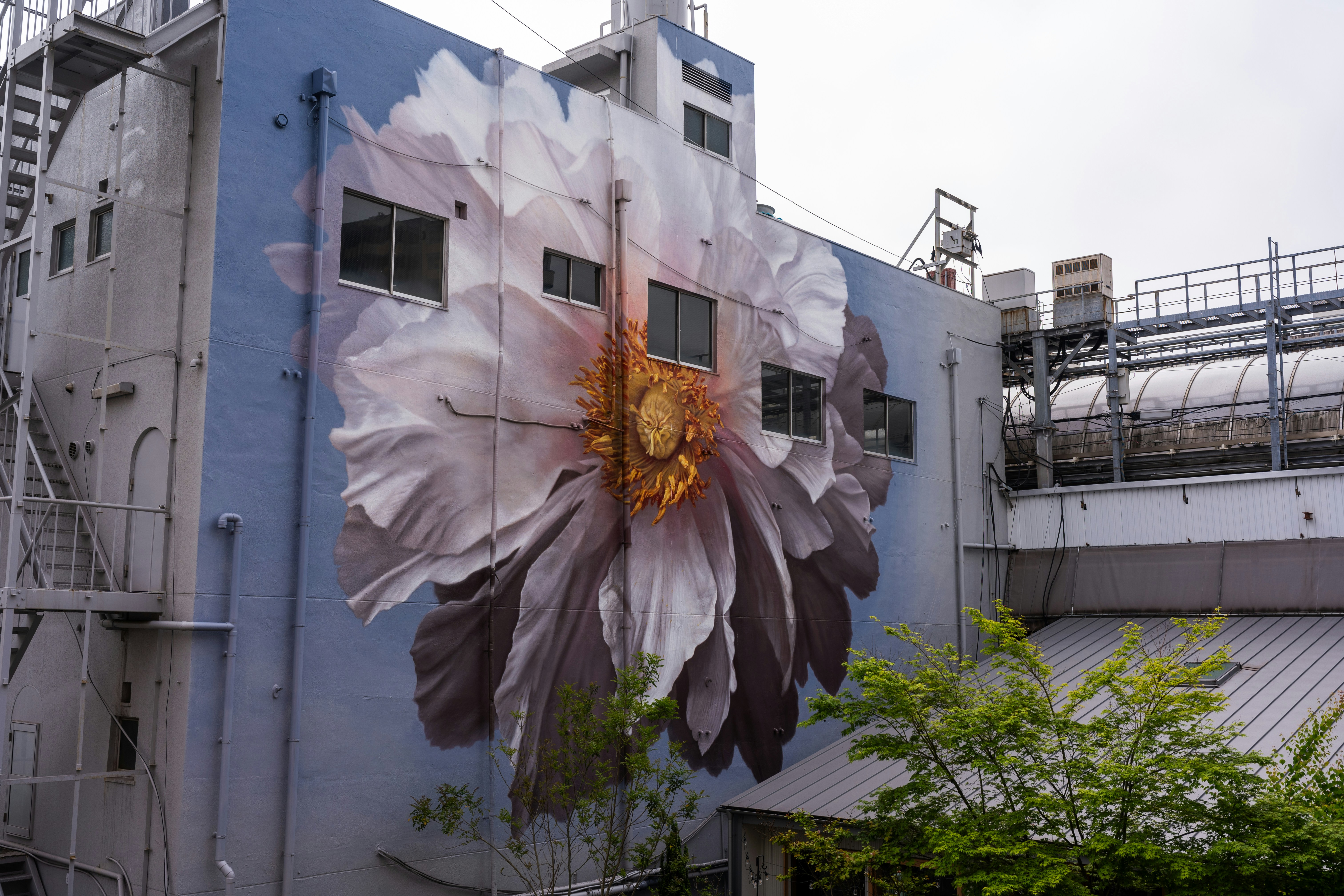 Giant Daisy on a Blue Factory Facade: Art Amid Industrial Lines