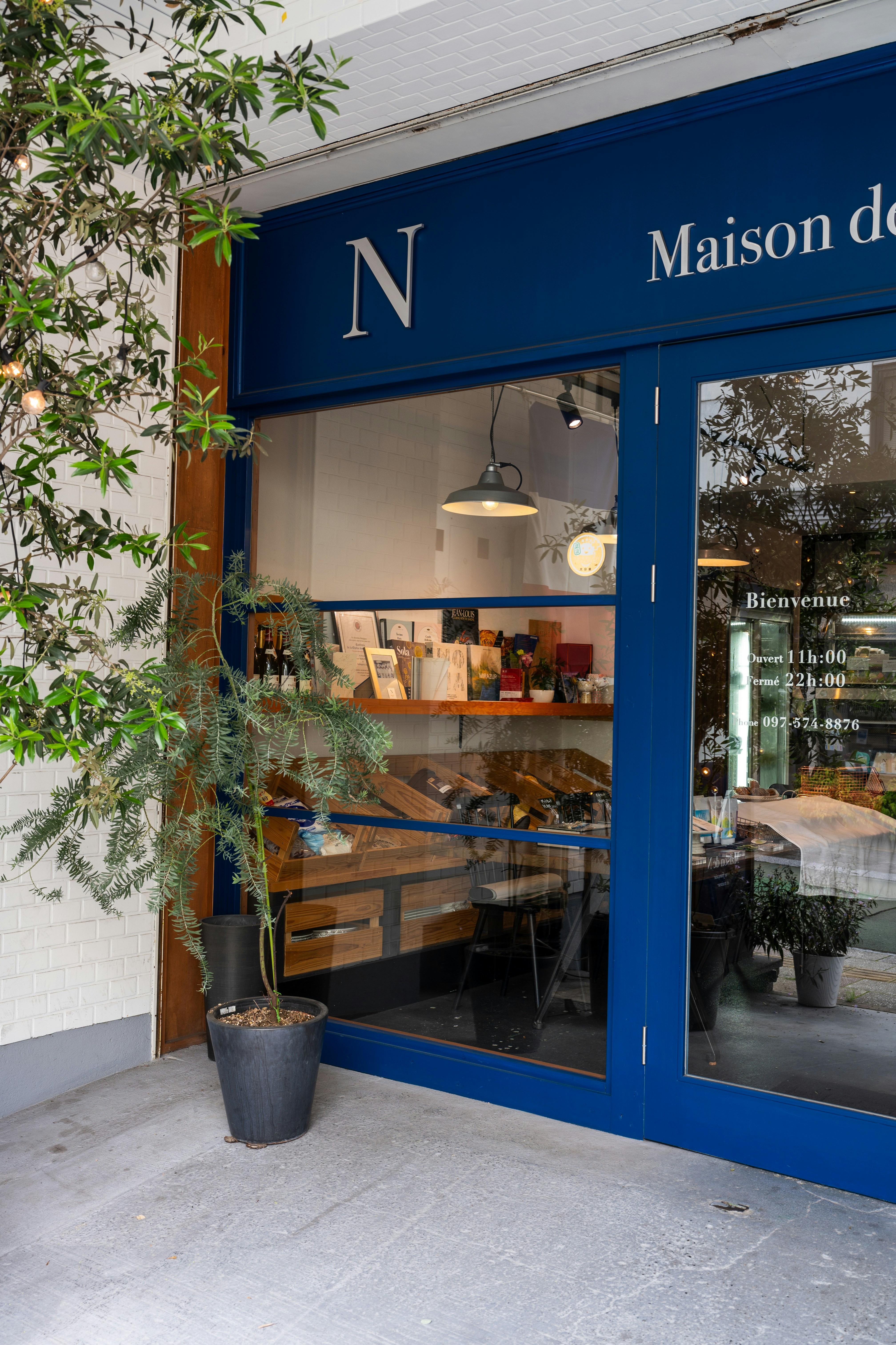 A blue store front with a potted plant in front of it photo – Free ...