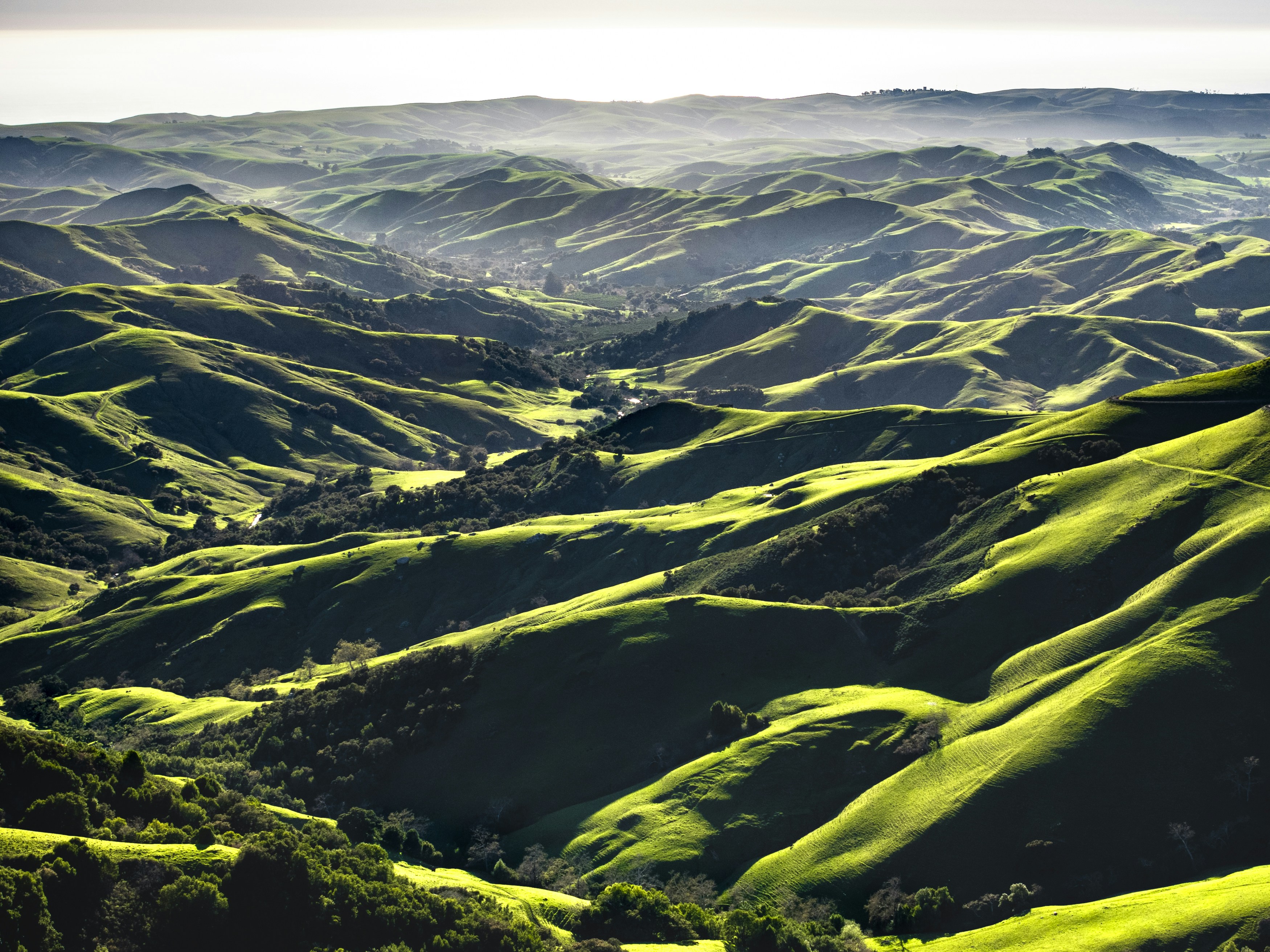 Rolling green hills stretch into the distance under a soft, luminous sky.