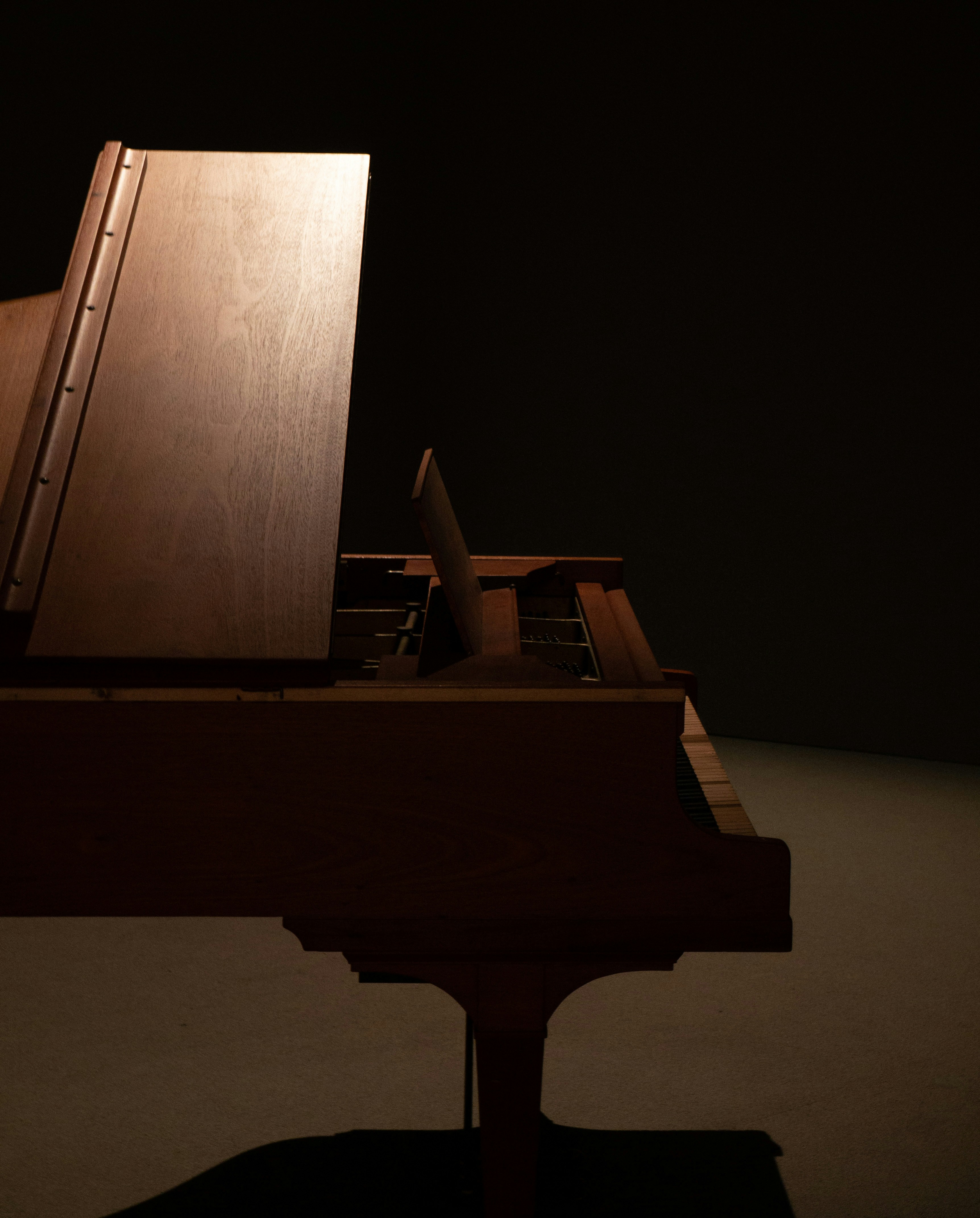 Photo by Jerry Zheng with Panasonic Lumix G7