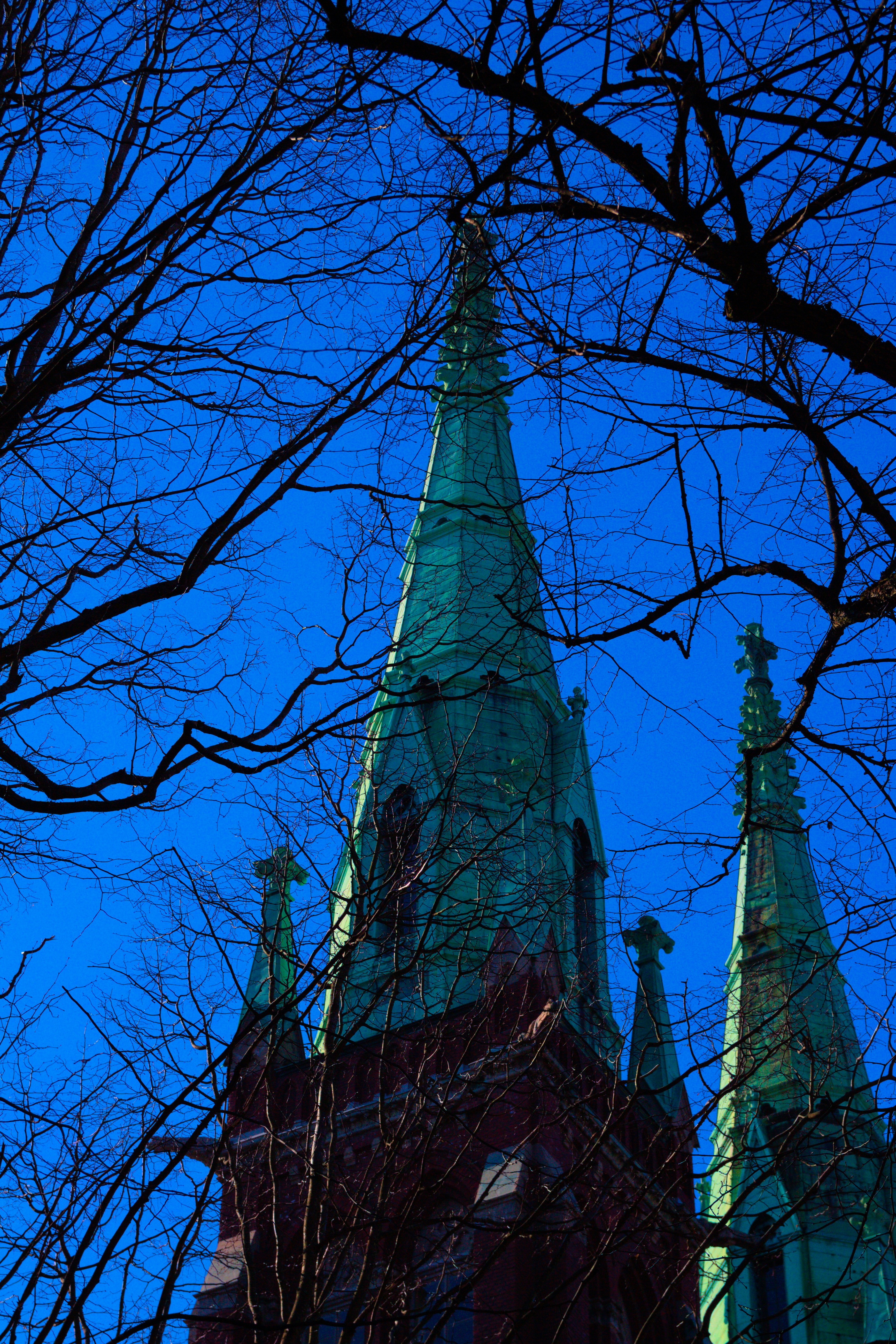 Azure Spire Framed by Winter Branches