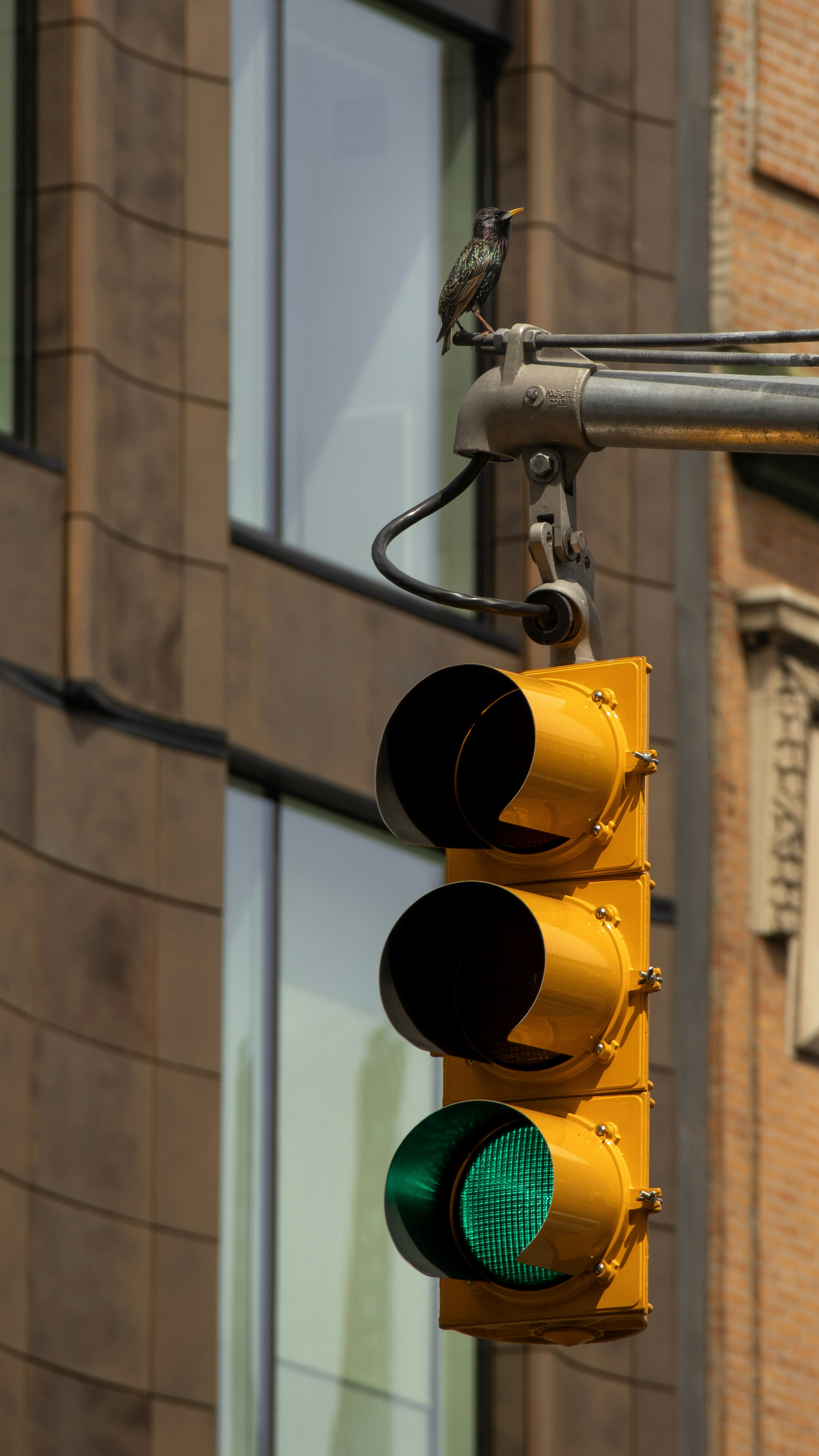 A traffic light hanging from the side of a building photo – Free New ...