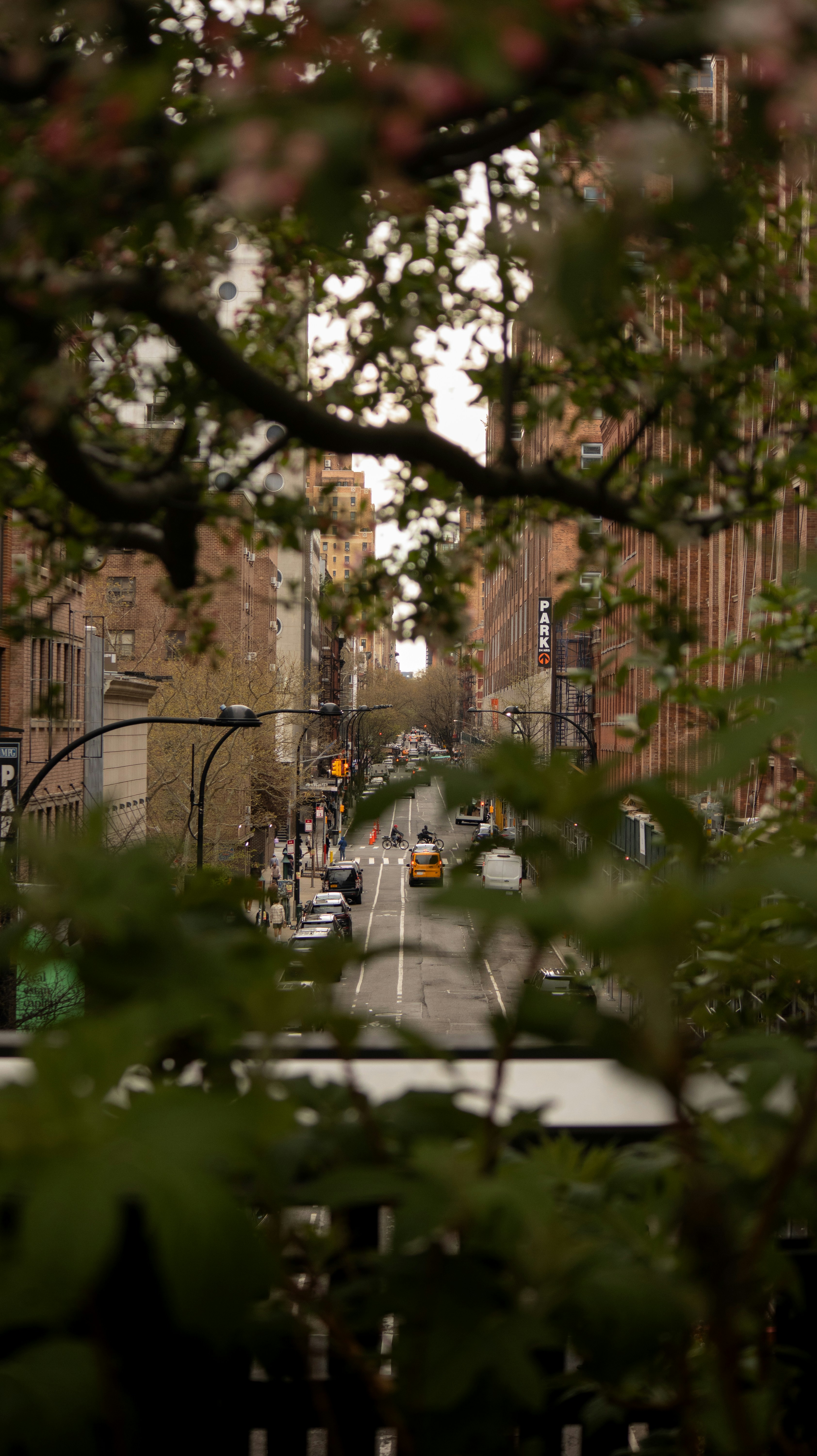 Framed City Street: A Distant Vanishing Point Through Greenery