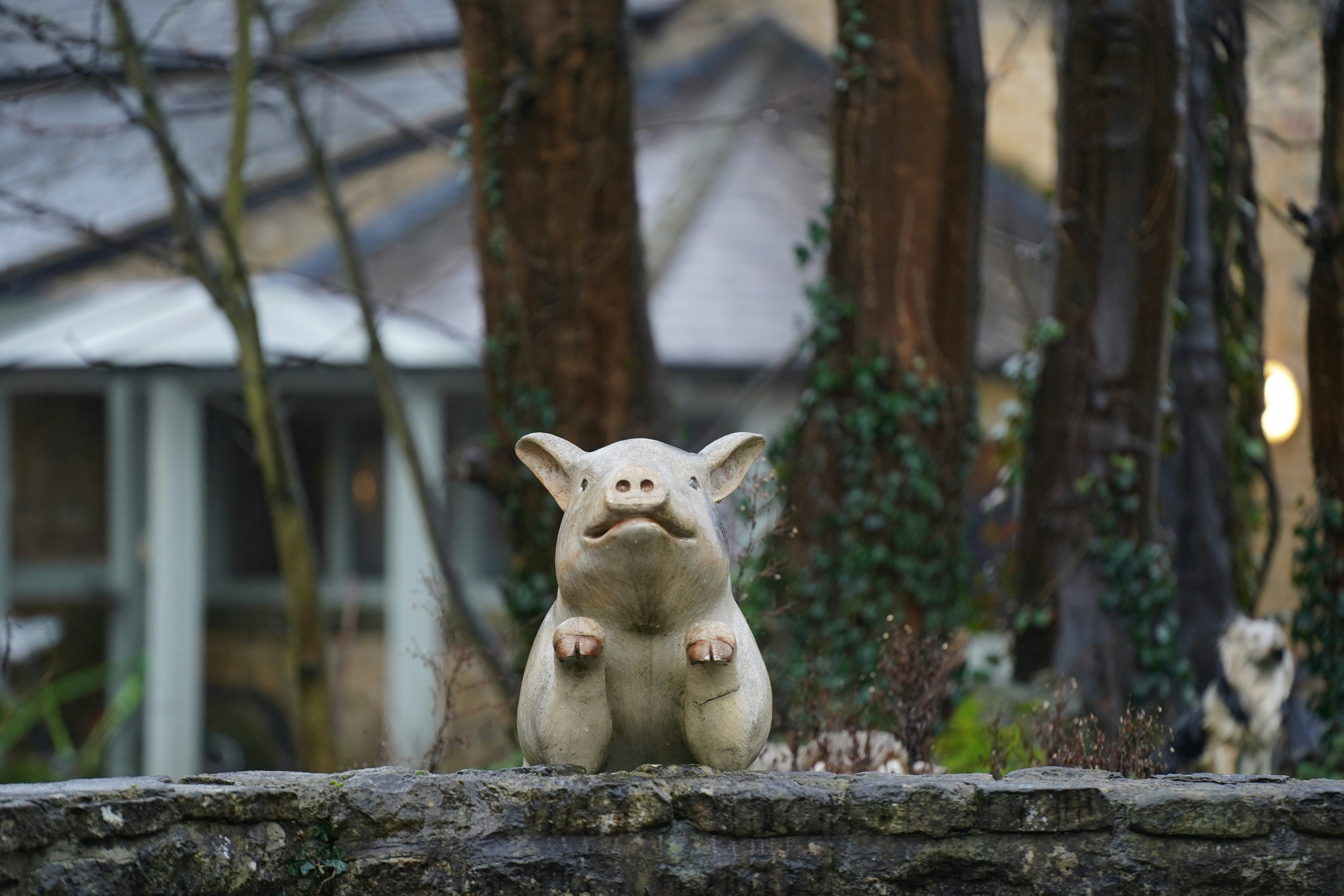 Una estatua de un cerdo sentado en lo alto de un muro de piedra foto ...