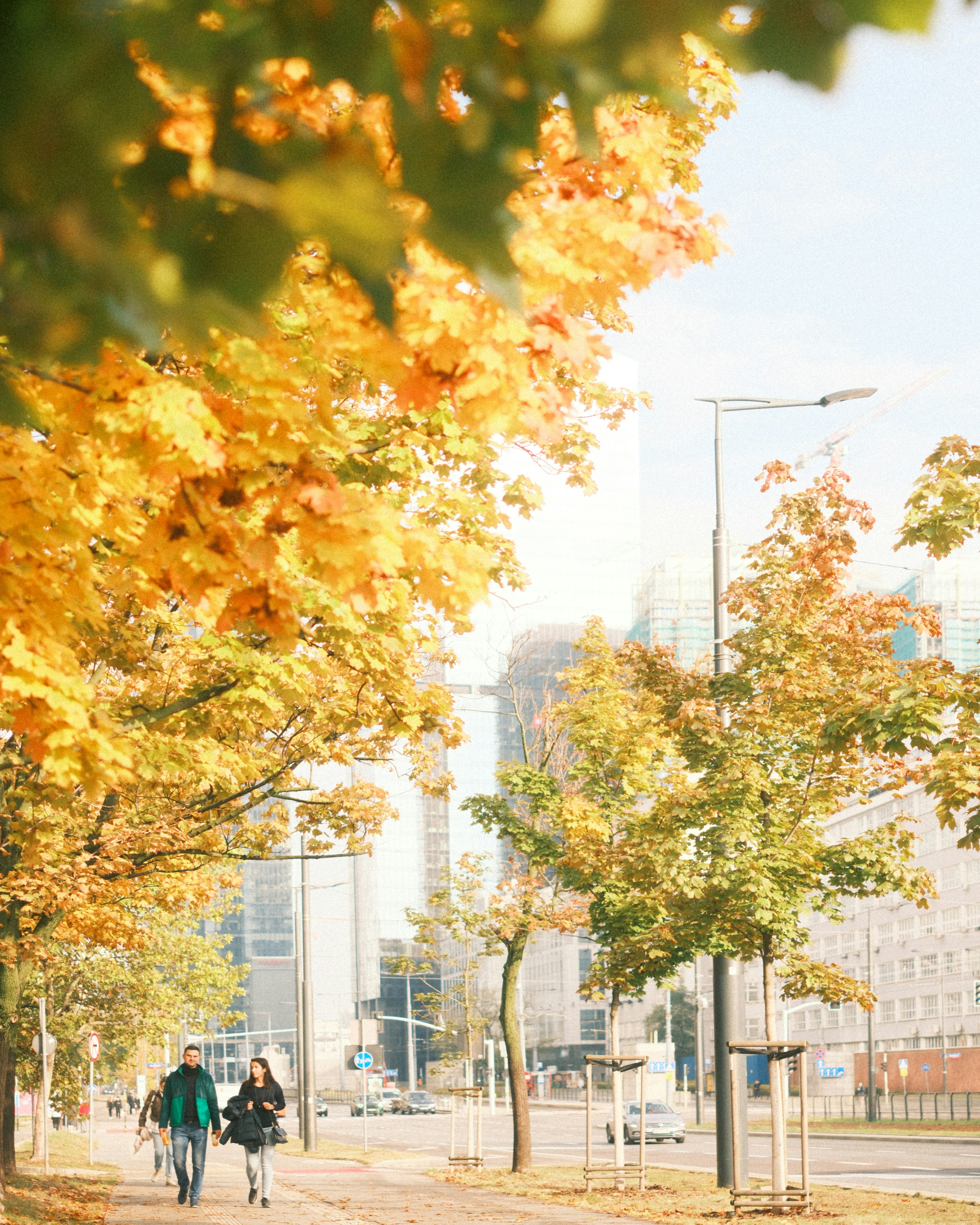 Golden Canopy Walk: Pedestrians Under a City Autumn Canopy