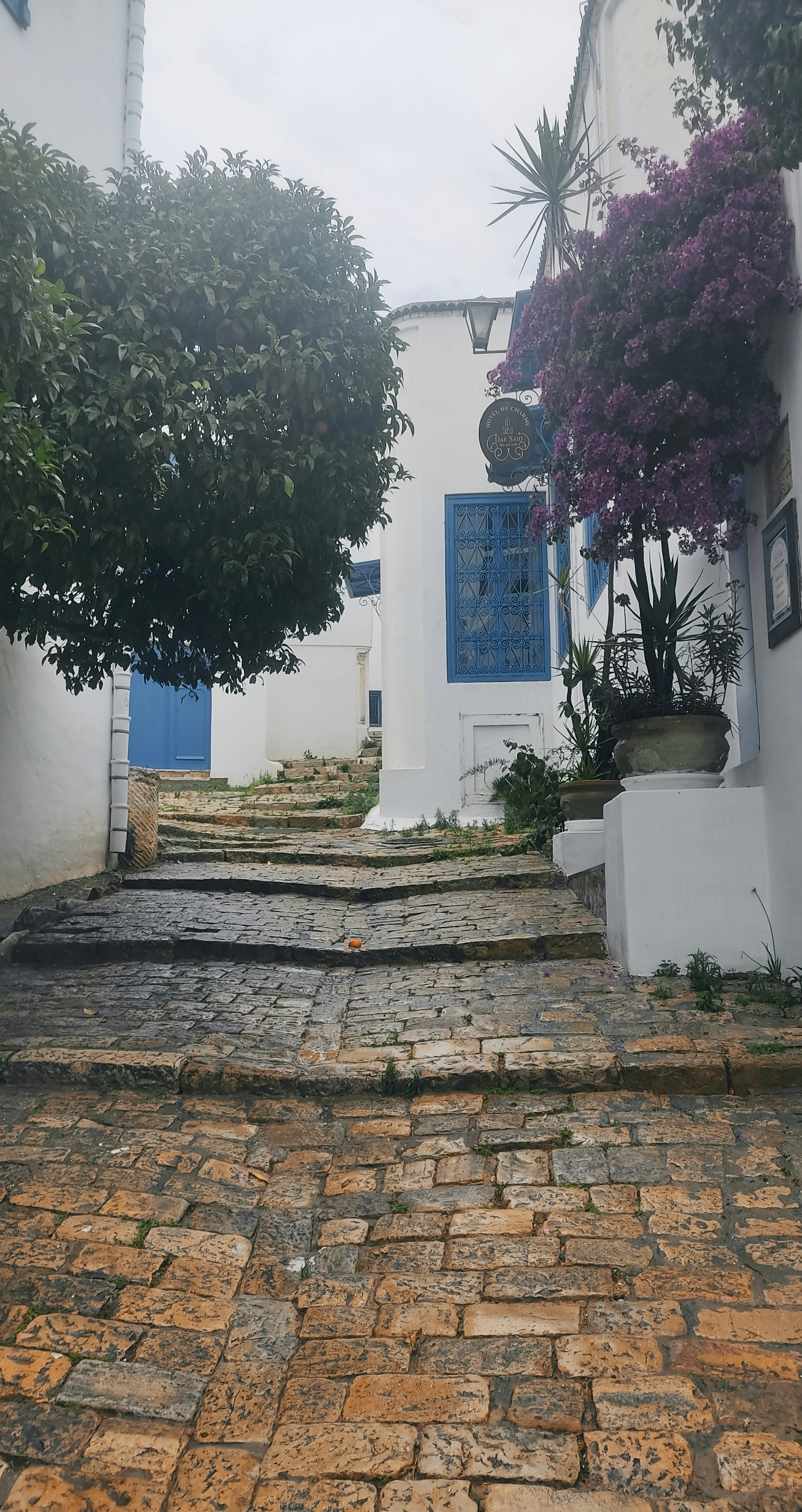 Cobbled path lined with whitewashed buildings and vibrant purple flowers under a cloudy sky.