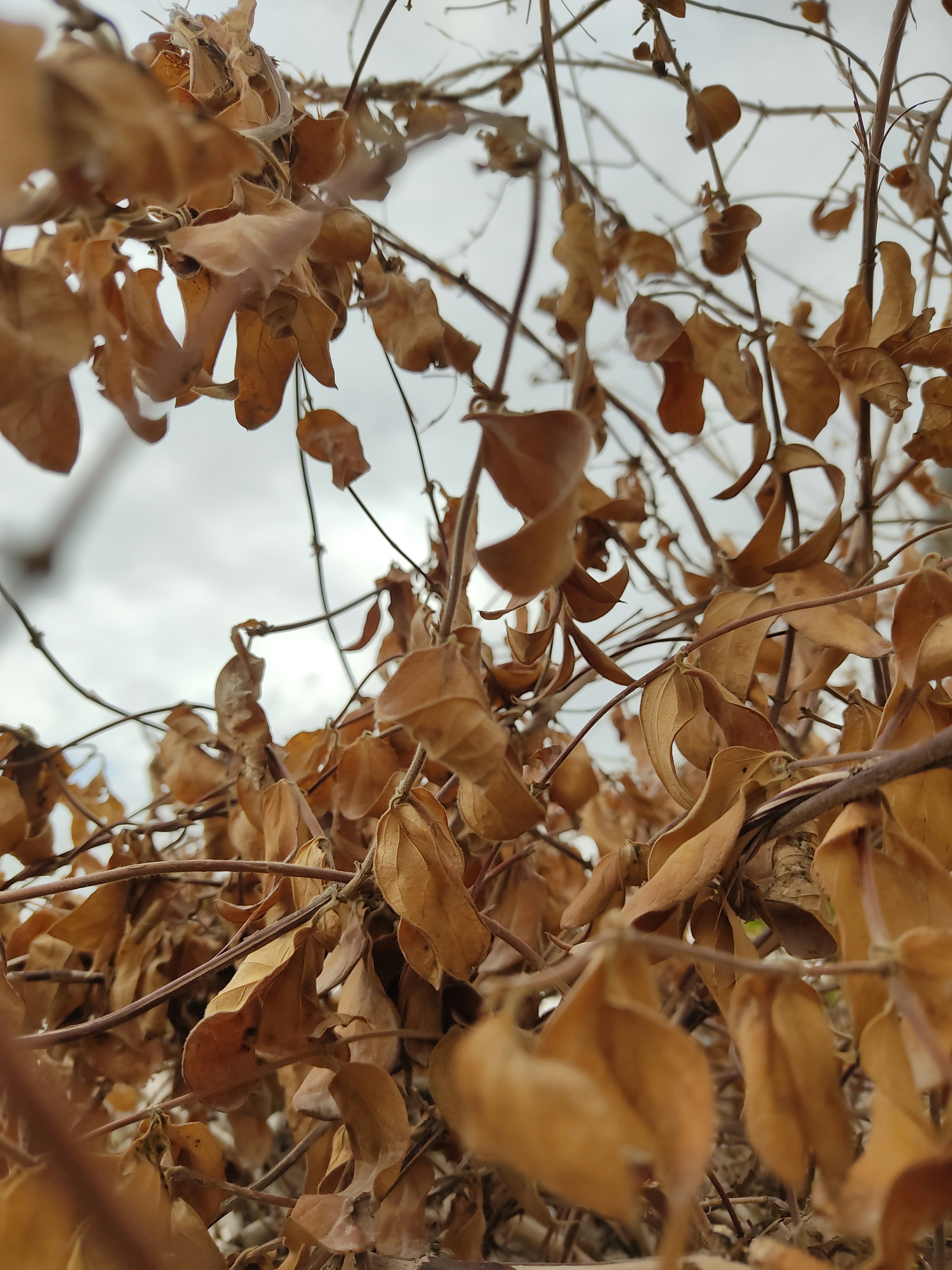 Mohammad Javad Asgharikolahi (@mojak8731) | Unsplash Photo Community