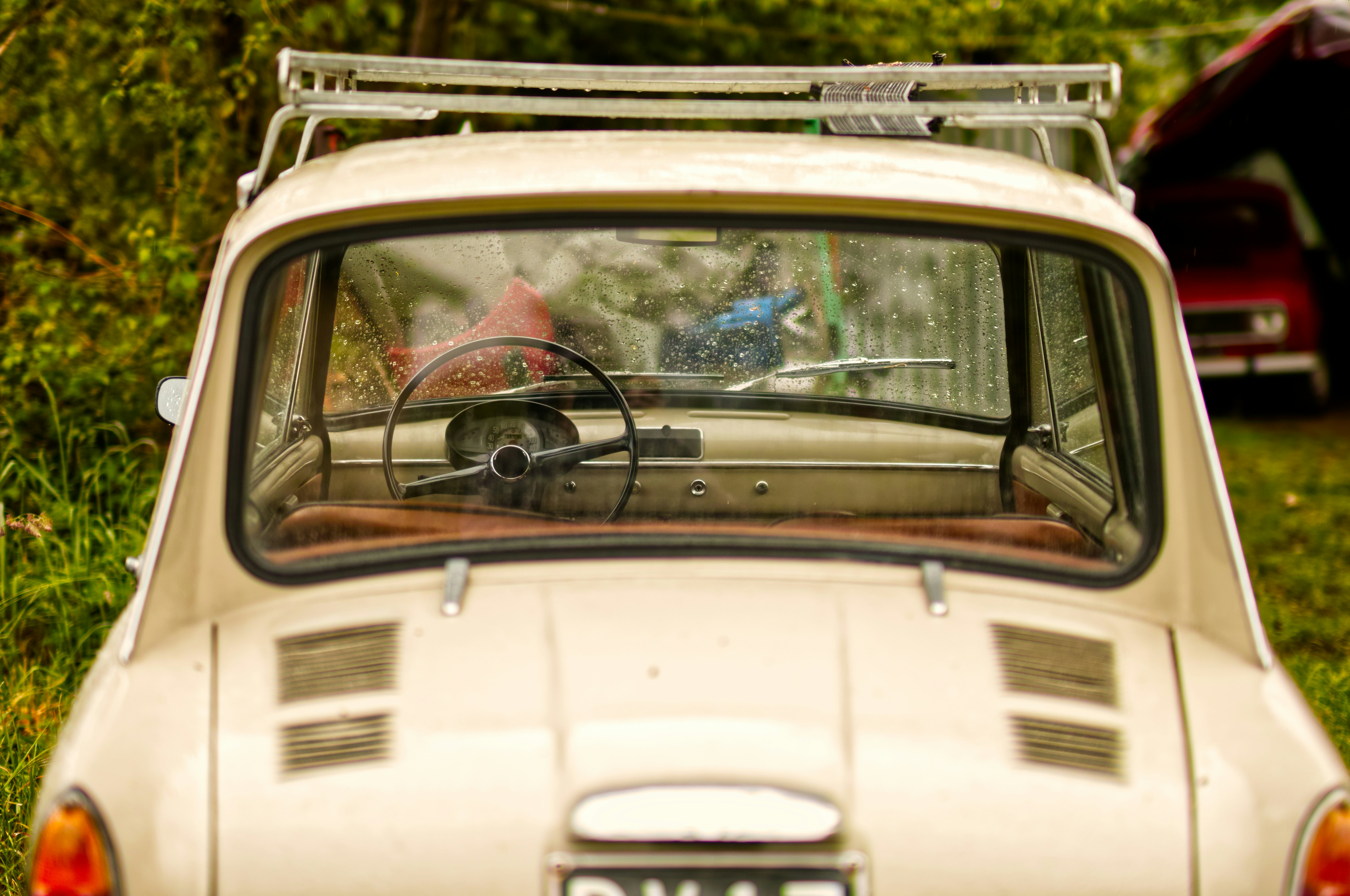 Rear-View Quiet: A Cream Classic Car Framed by Greenery