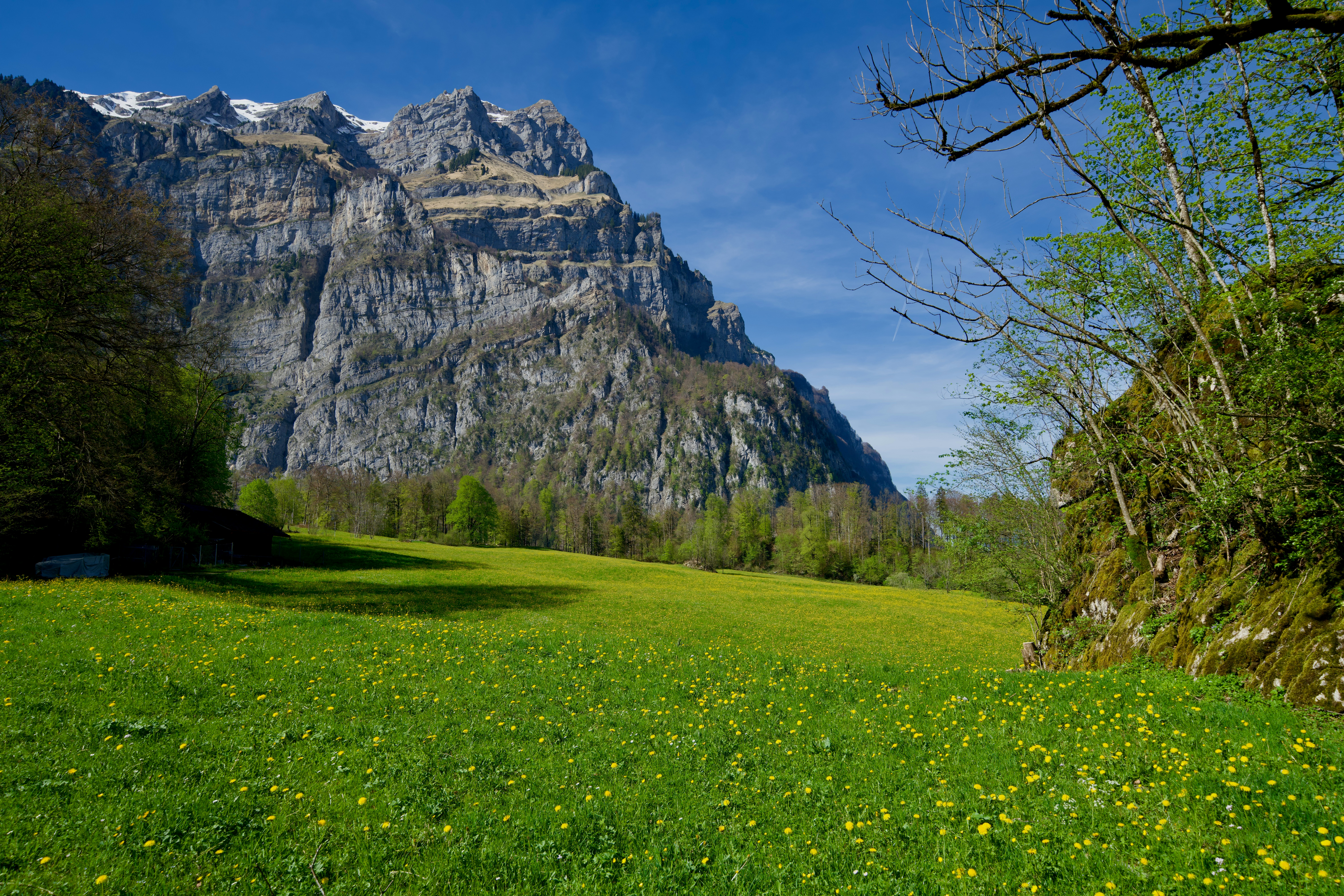 Expansive green meadow with yellow wildflowers, backed by majestic rocky cliffs under a clear blue sky.