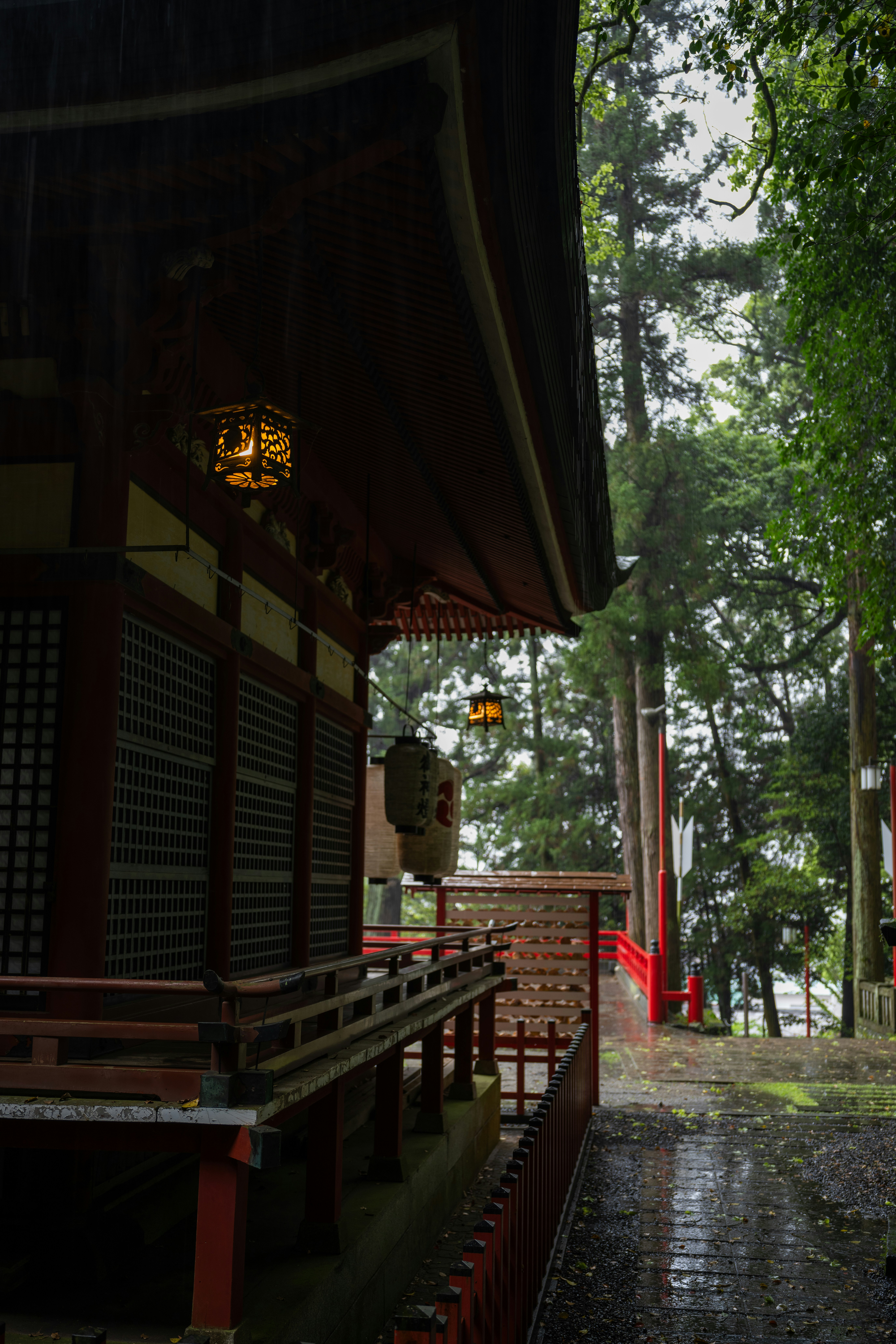 Lantern-lit shrine eaves under rain-dappled pines