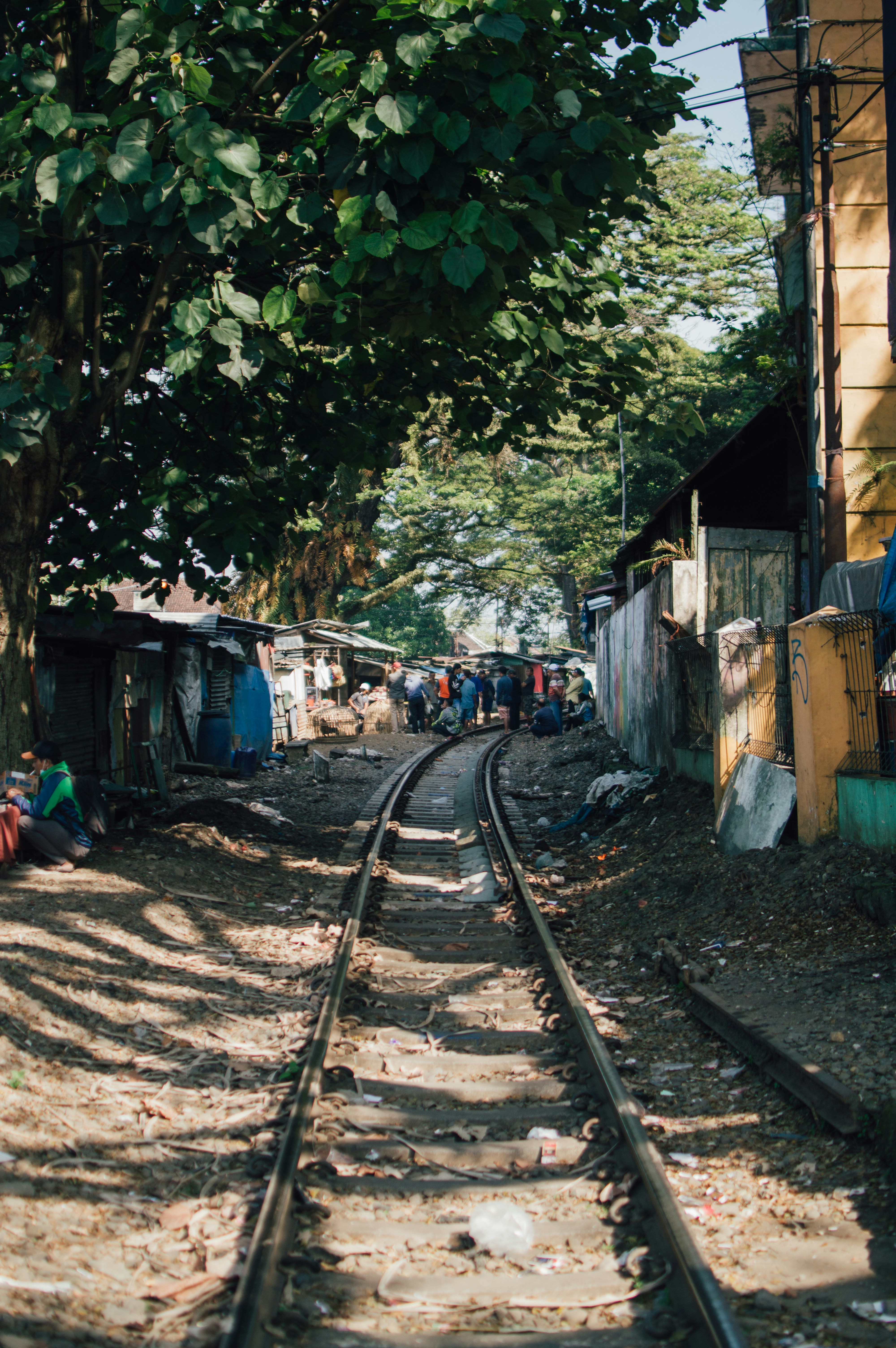 Sunlit Rails, Crowded Edges: Life Along a Narrow Track