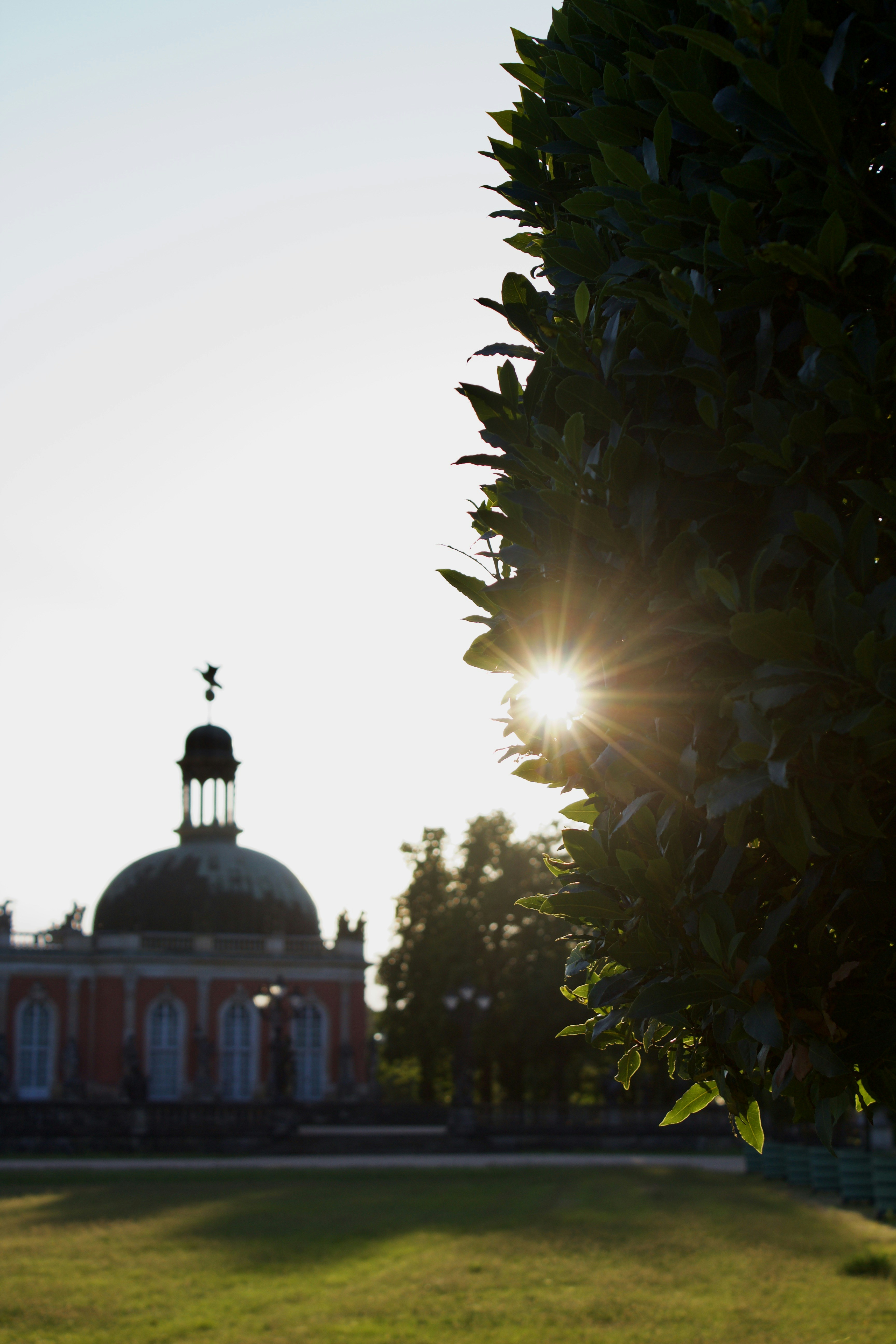 Sunlight filters through lush foliage, illuminating a historic dome in the background. The scene captures a tranquil moment in a park setting.