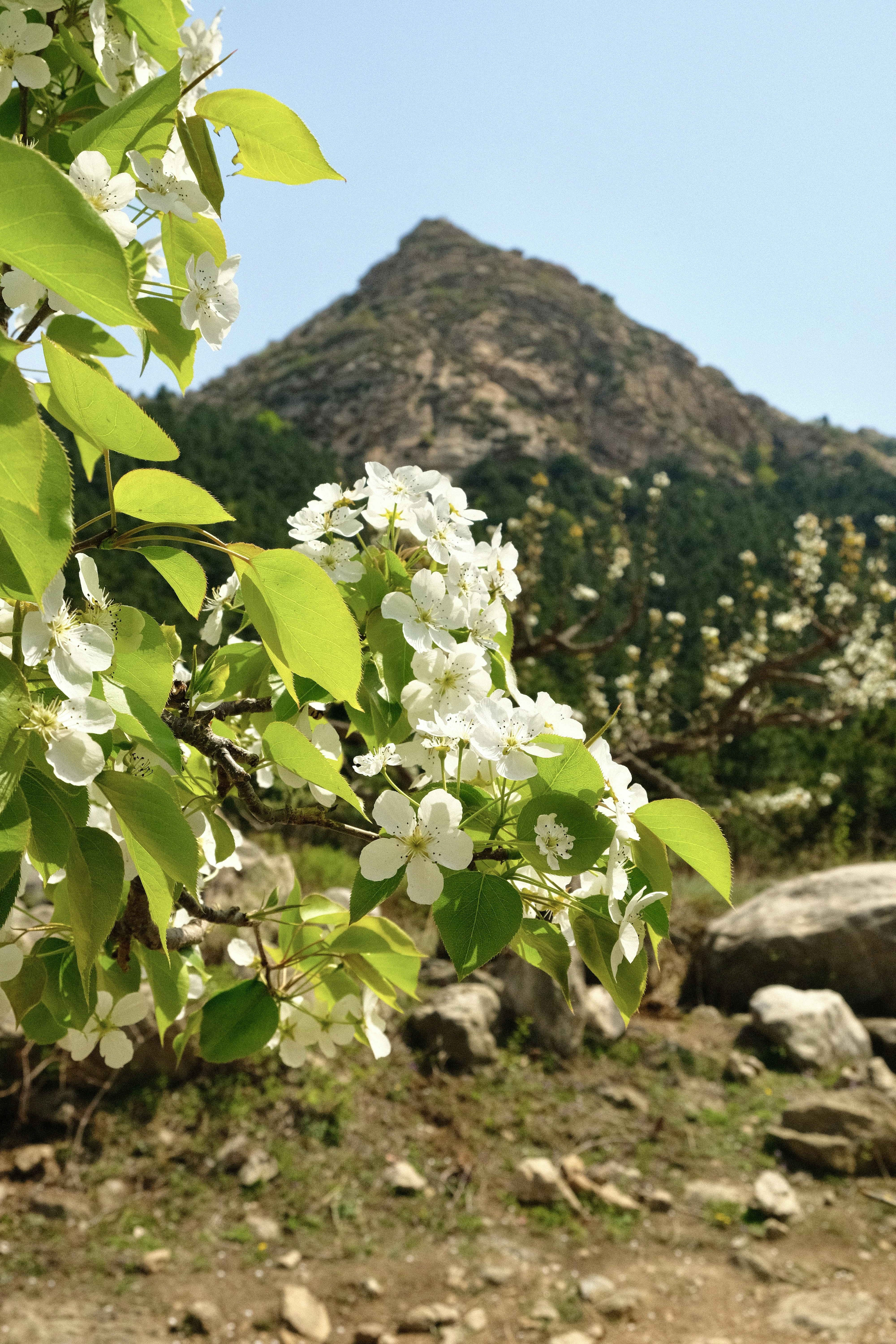 Photo by WANG Tianfang with Fujifilm X-T20