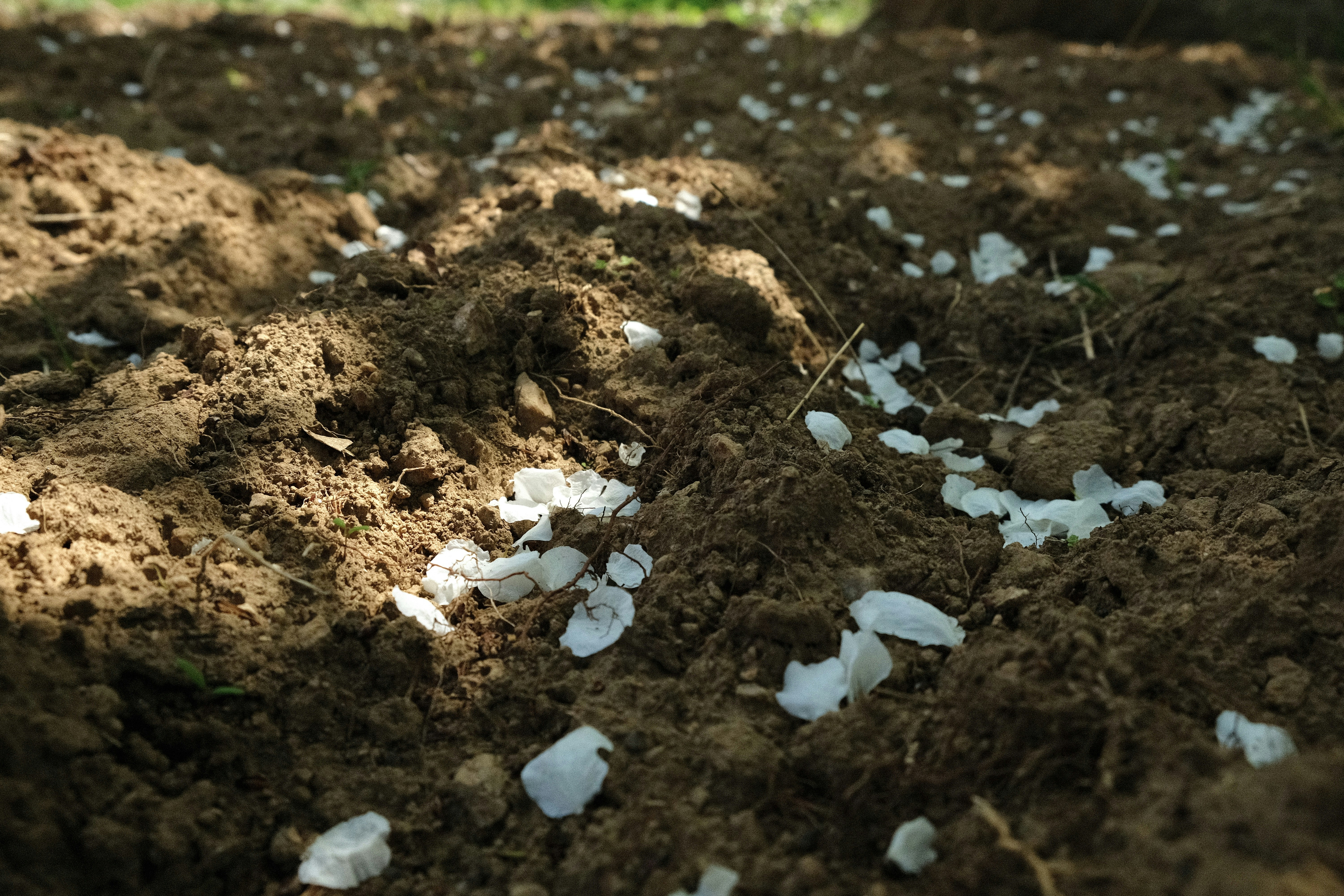 A pile of dirt with a bunch of white stuff on top of it photo – Free ...