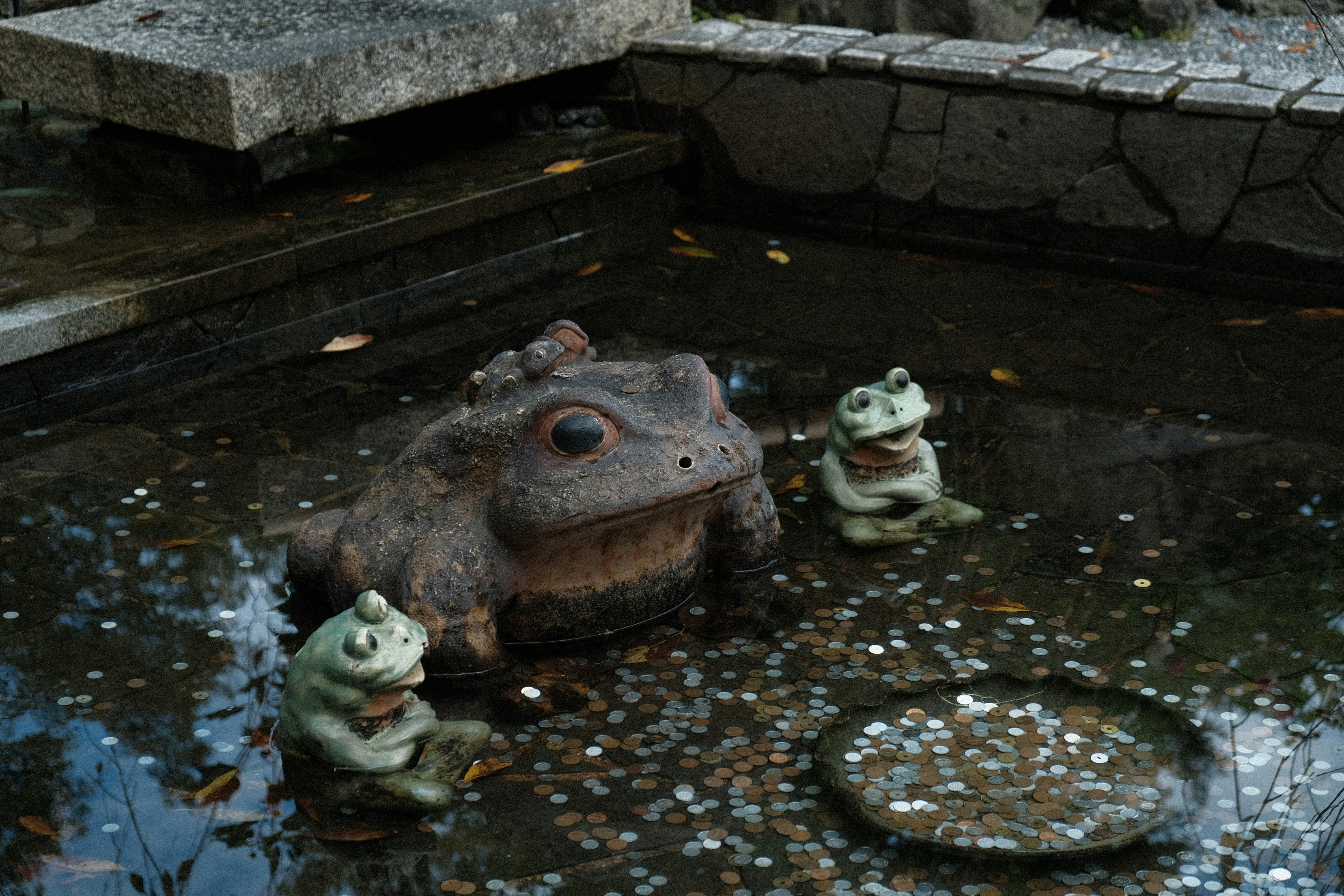 A group of frogs sitting on top of a pond photo – Free Japan Image on ...