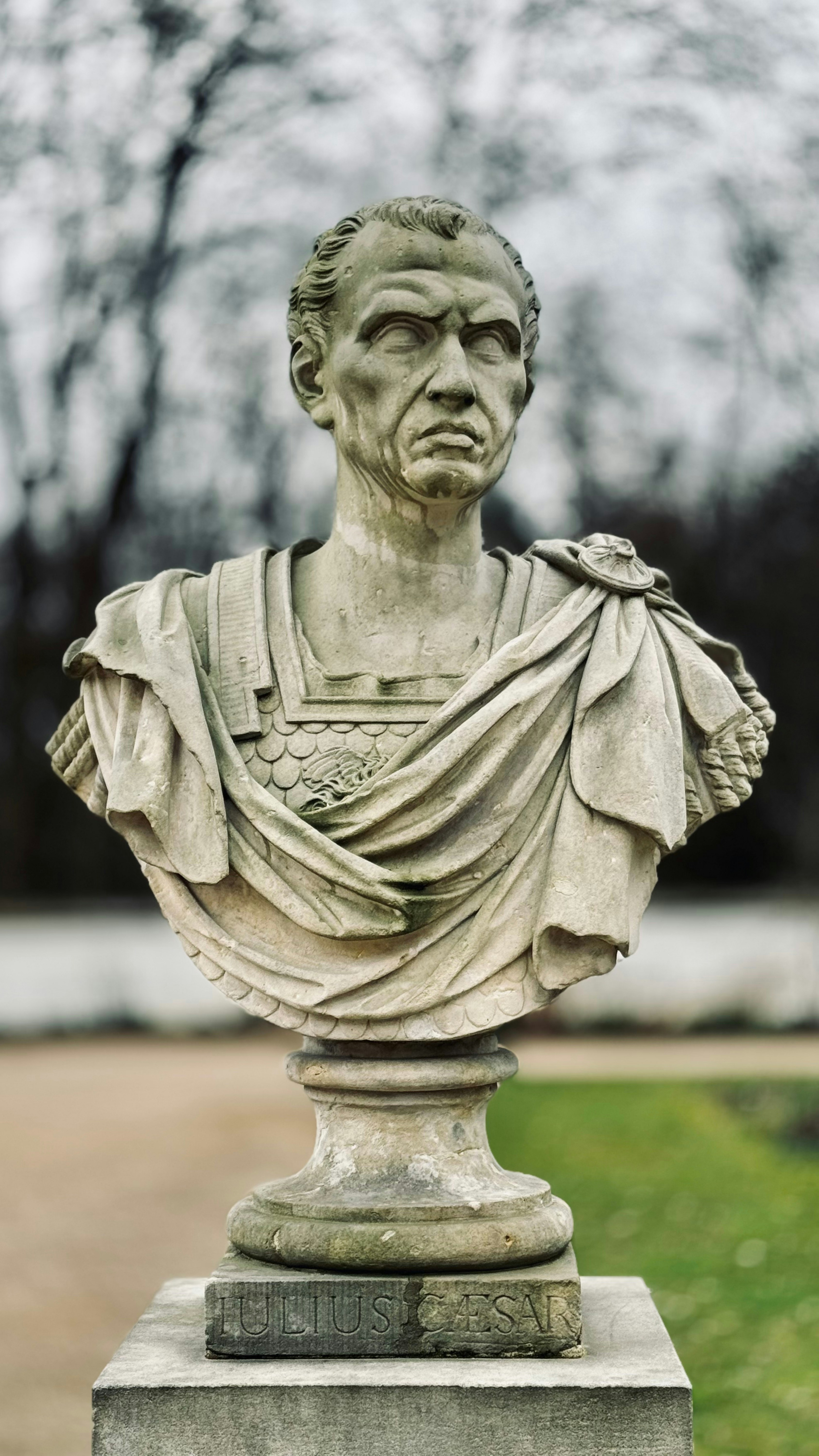 Caesar Pictures | Download Free Images on Unsplash